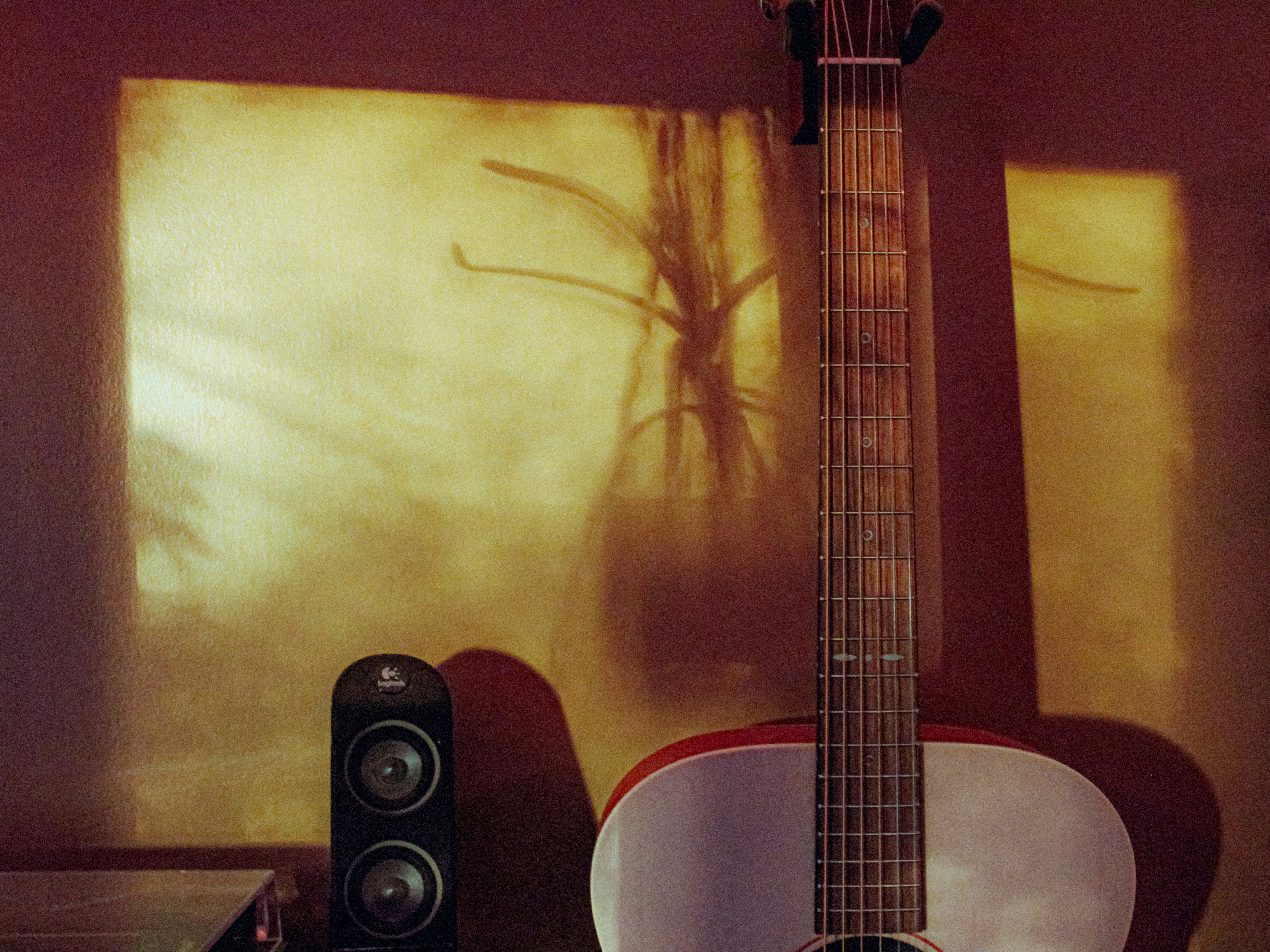 Guitar Portrait in Warm Studio Light