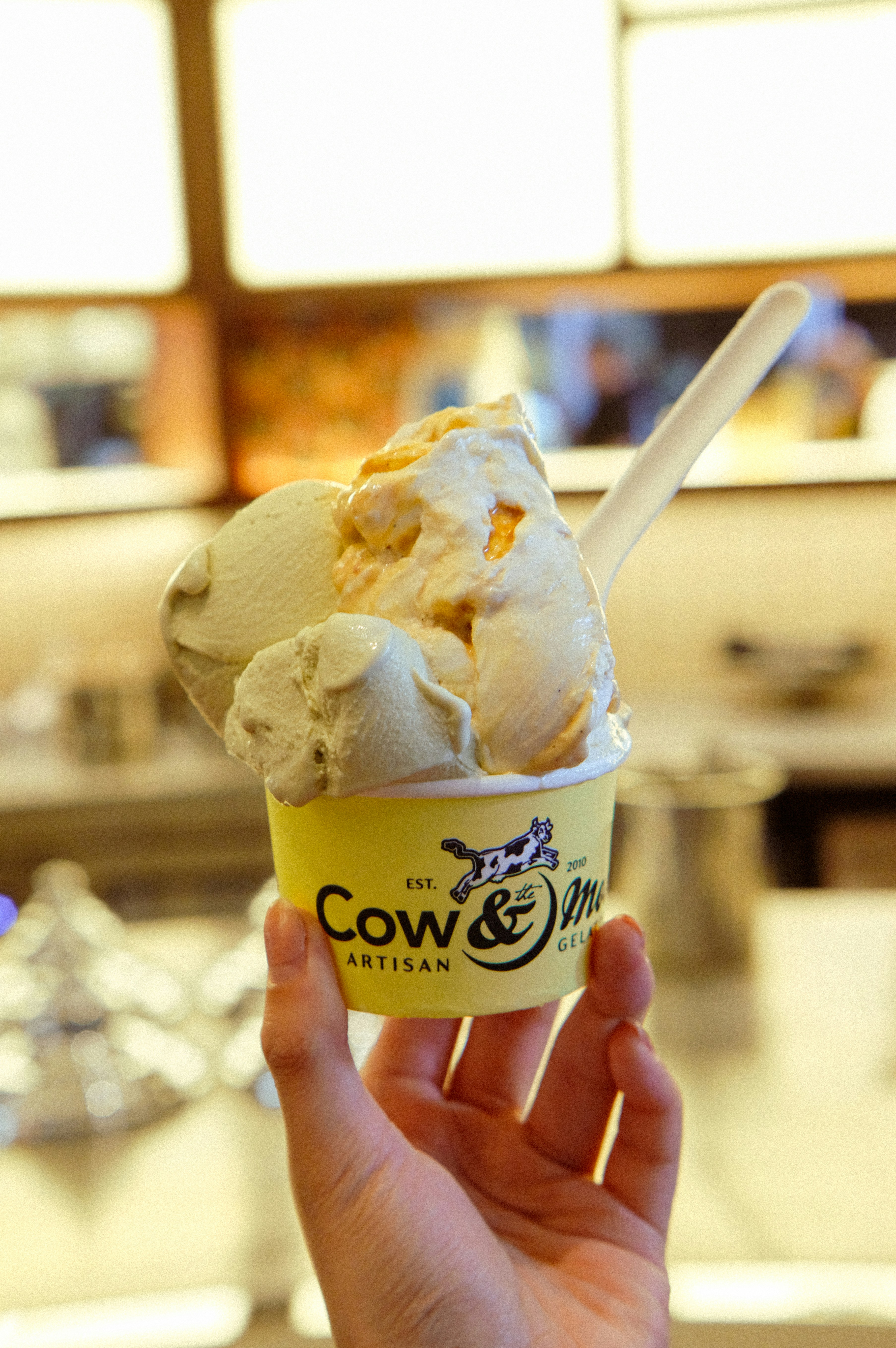 Creamy Scoop of Happiness: Handheld Gelato at Cow & Milk