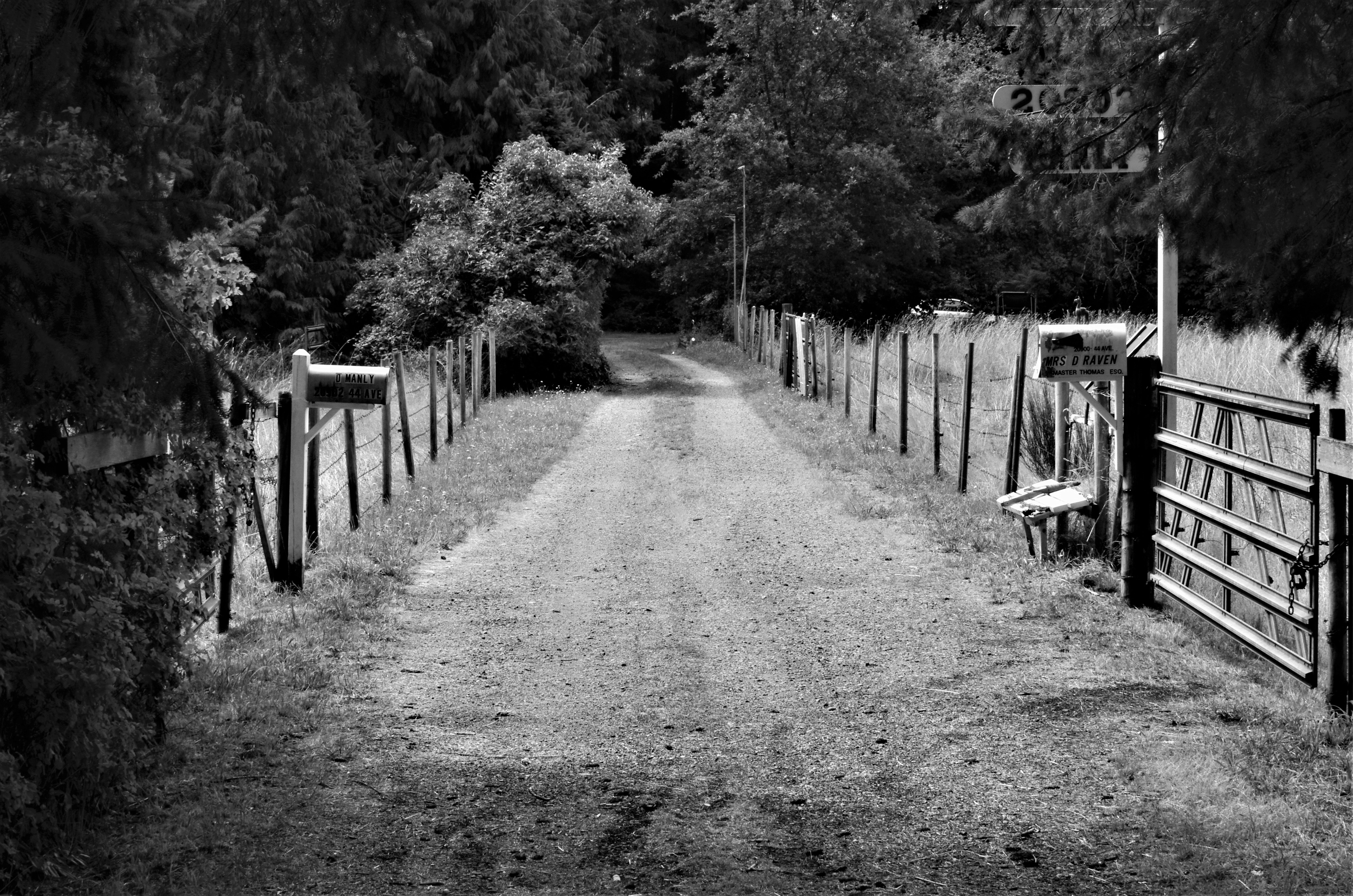 Dusty country lane leading to distant trees through a quiet rural gate