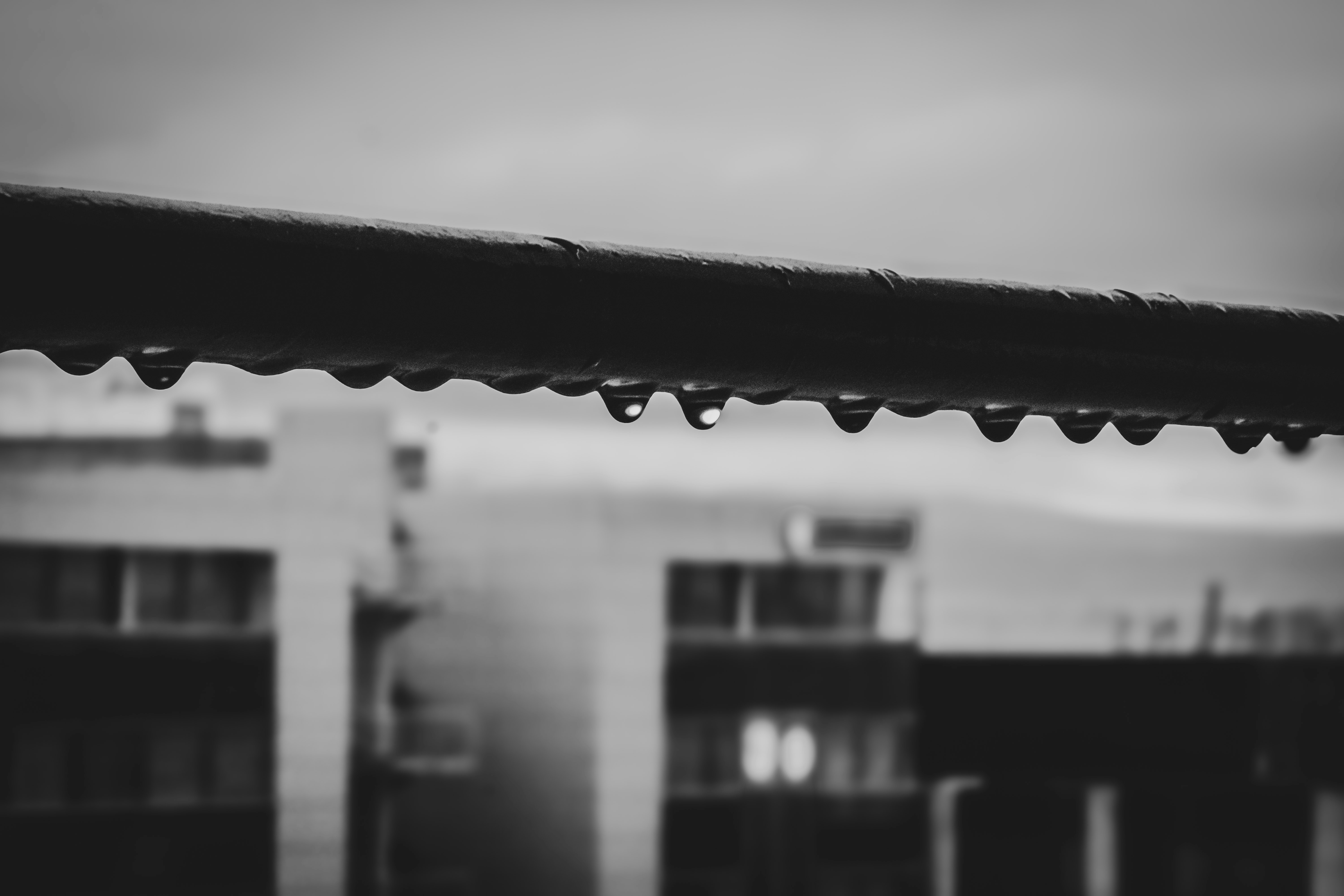 Rain on a Rail: Droplets Cling to the Bar Above a Monochrome City