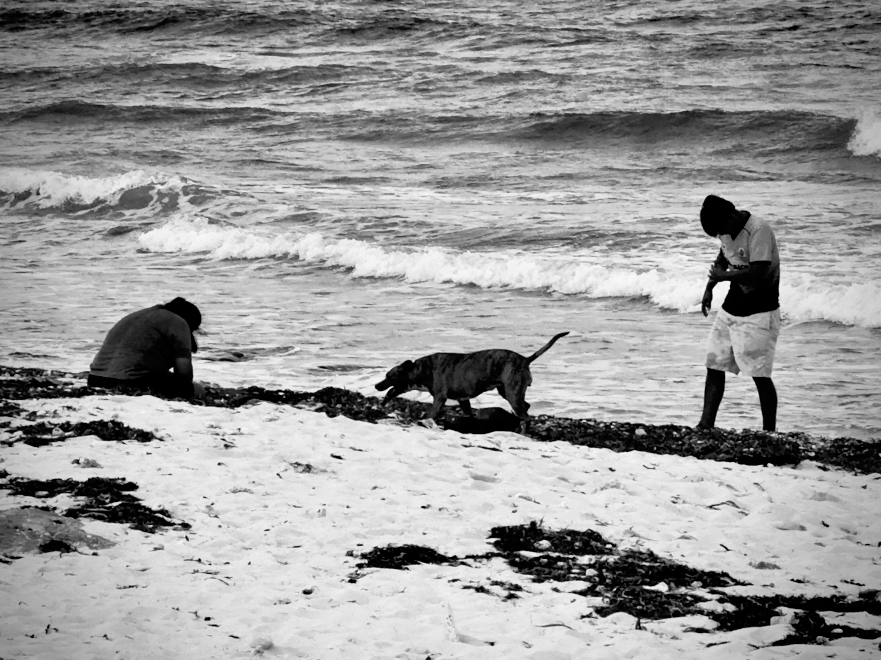 Figures on the Shore: A Quiet Exchange with a Weathered Sea
