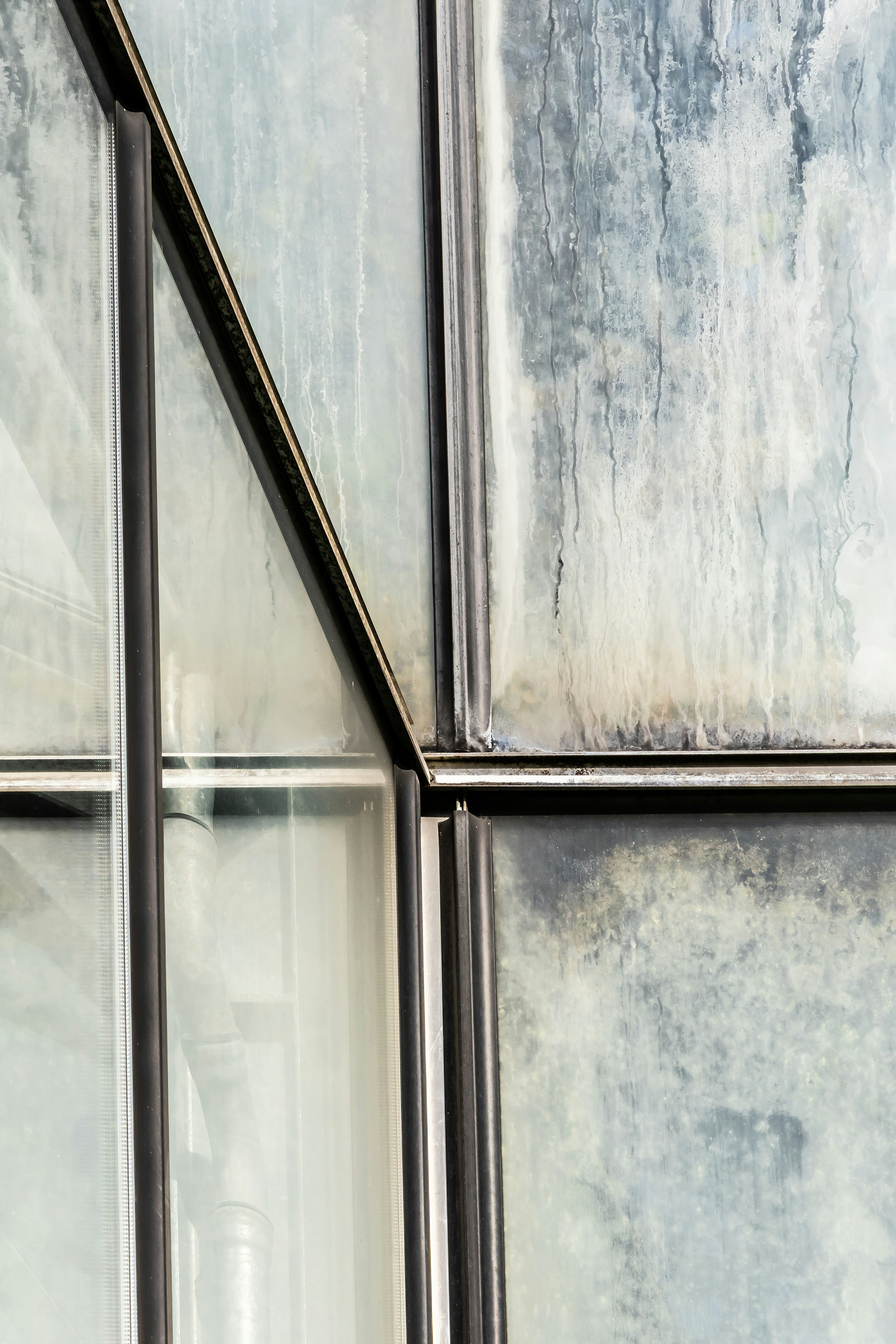 Veined Glass: Concrete Framed Reflections