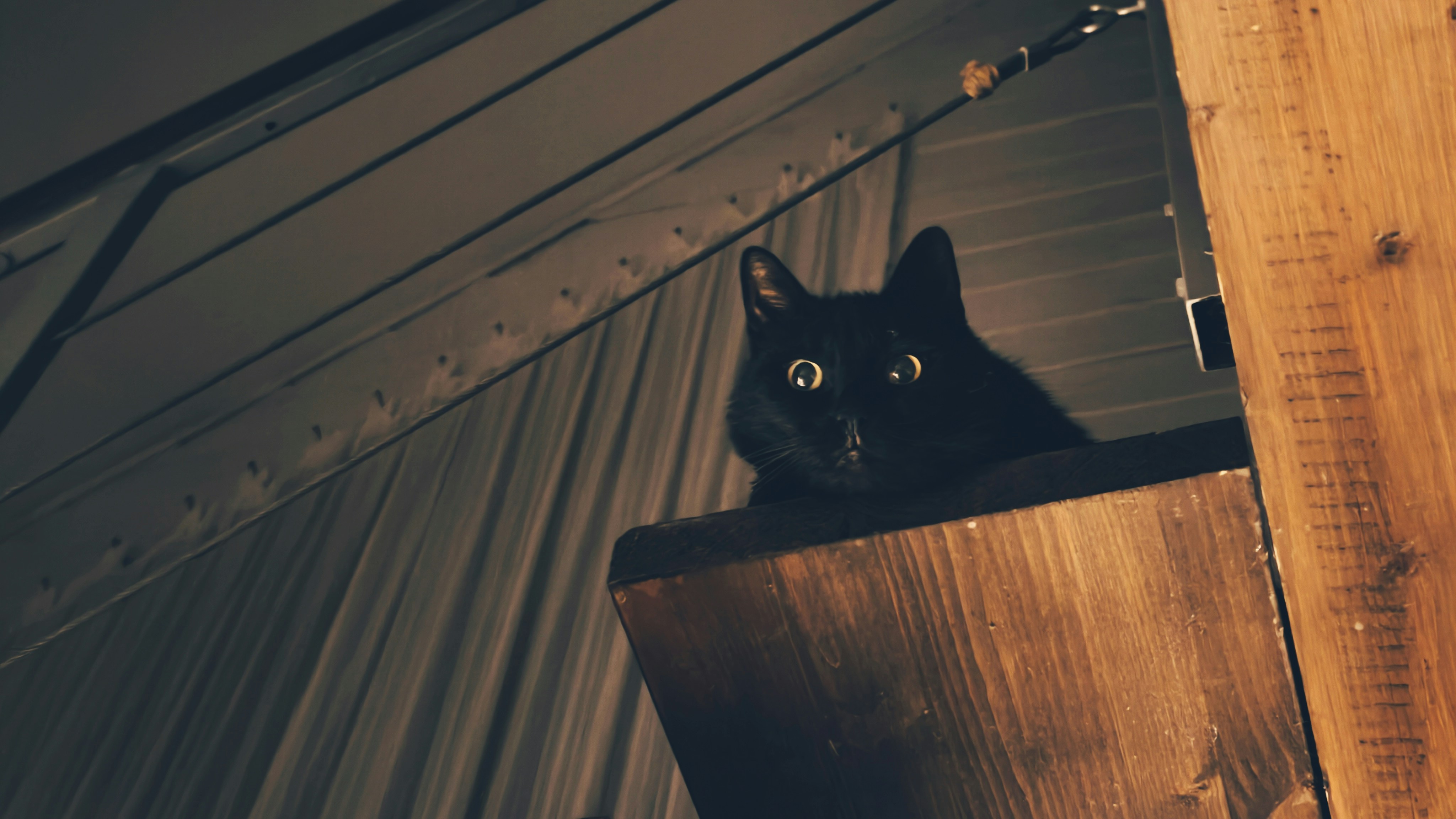 A black cat peeks over a wooden box in a dim, warm-lit interior, its eyes wide and watchful. The scene emphasizes a single, shy moment of curiosity in a cozy, nocturnal setting.