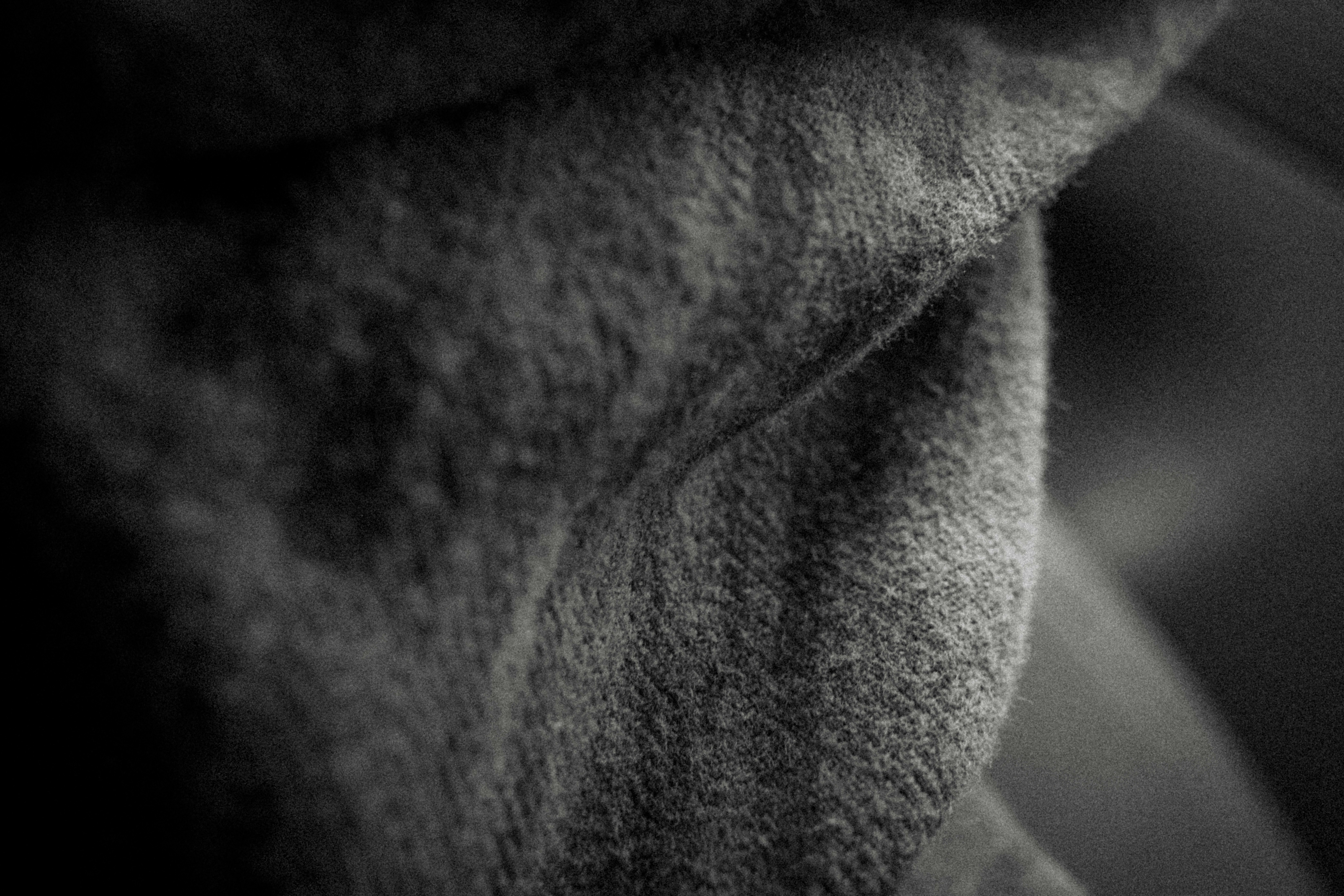 Folded Fabric in Soft Focus: A Quiet Monochrome Texture