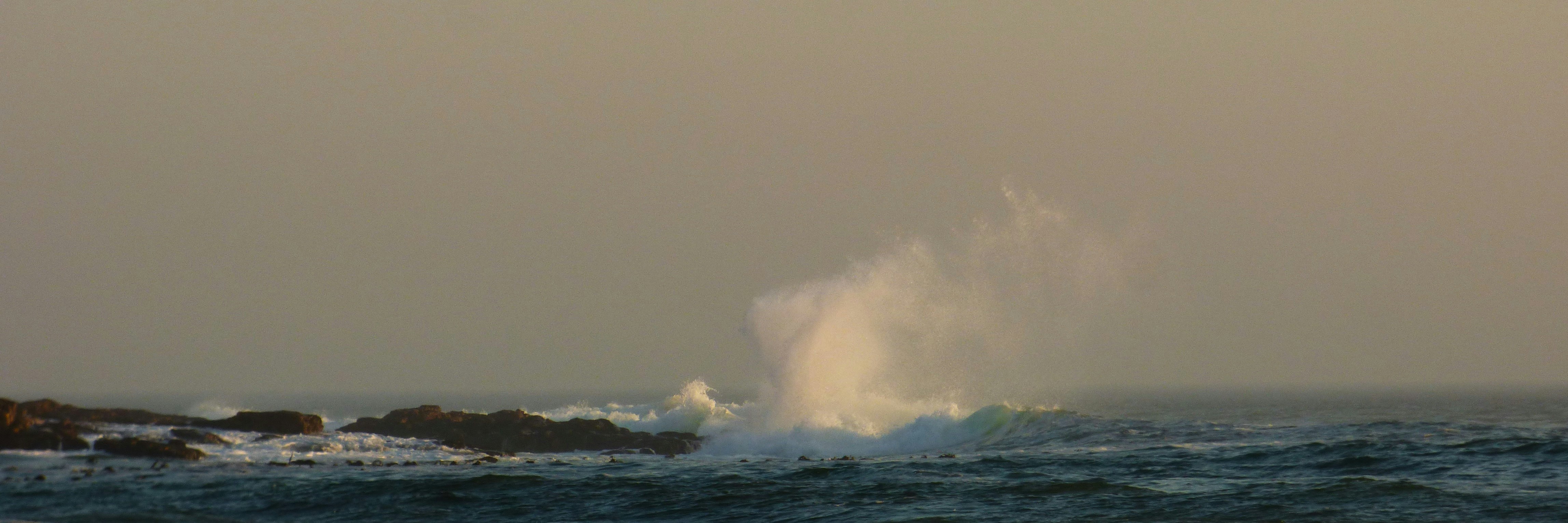 Ocean Crest: A Breaker Peaks Against a Quiet Horizon