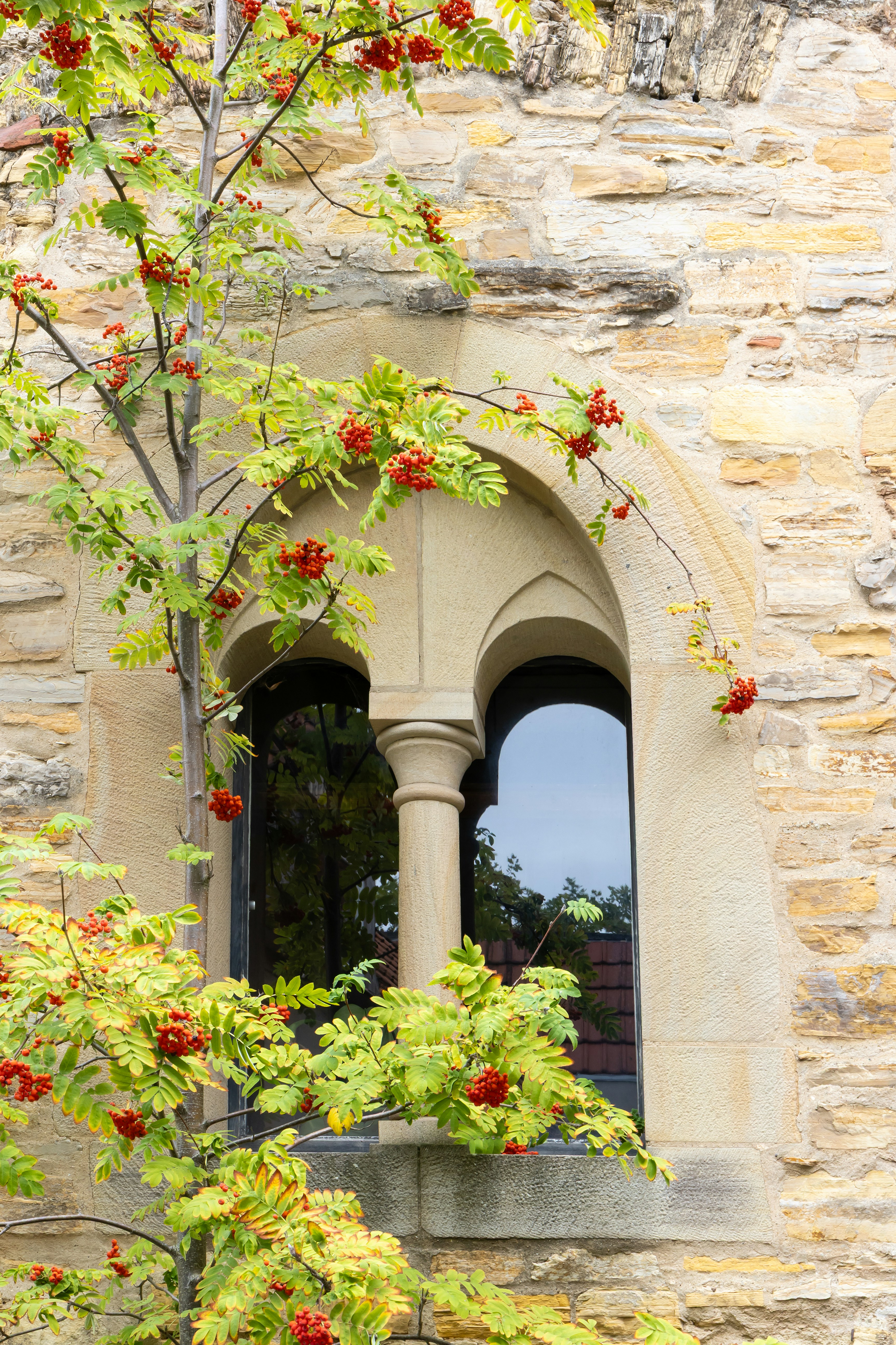 Stone Archway Framed by Crimson Berries
