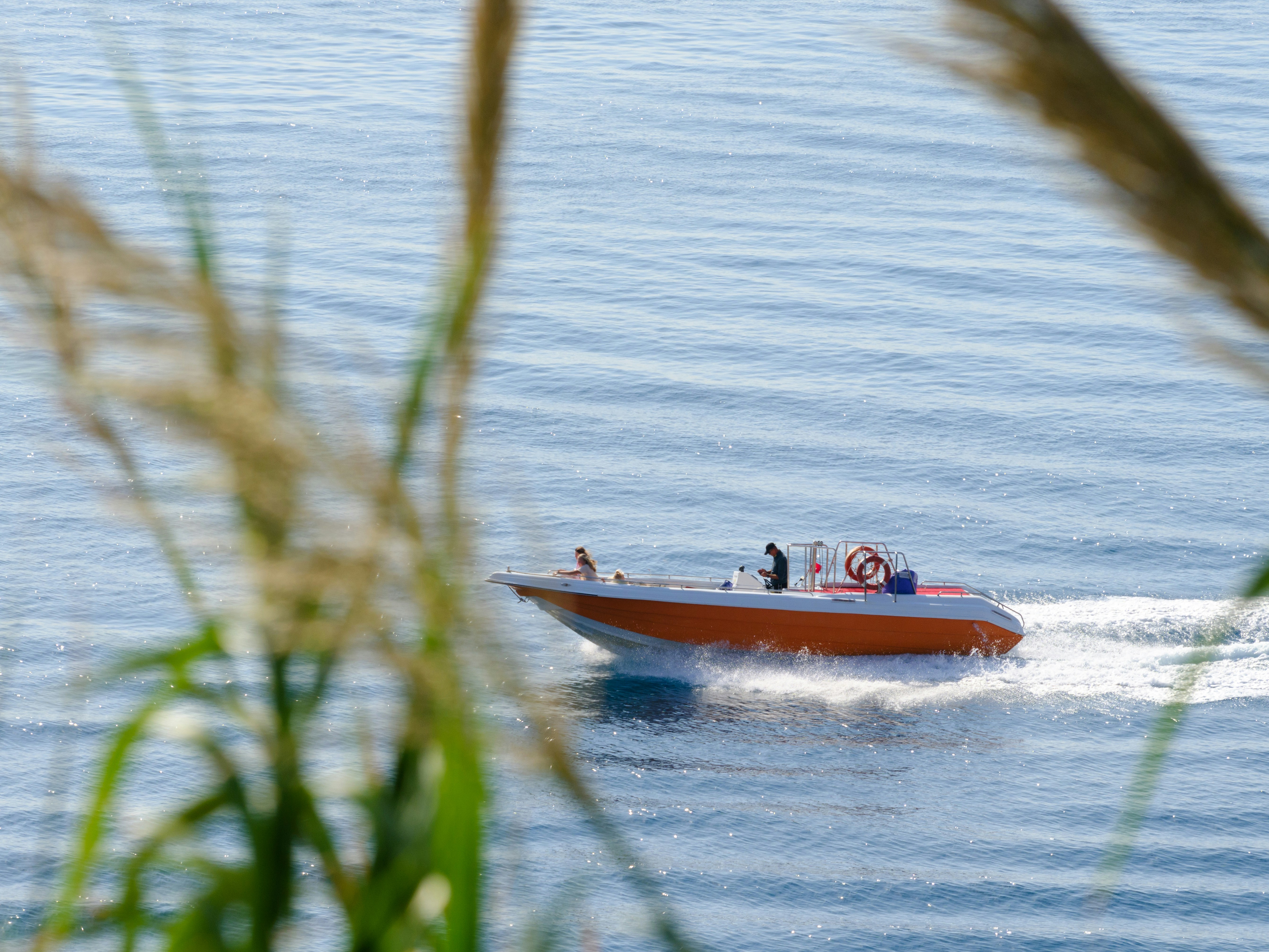 Boat Cutting Through Blue Quiet: A Shallow View Through Reed Framing
