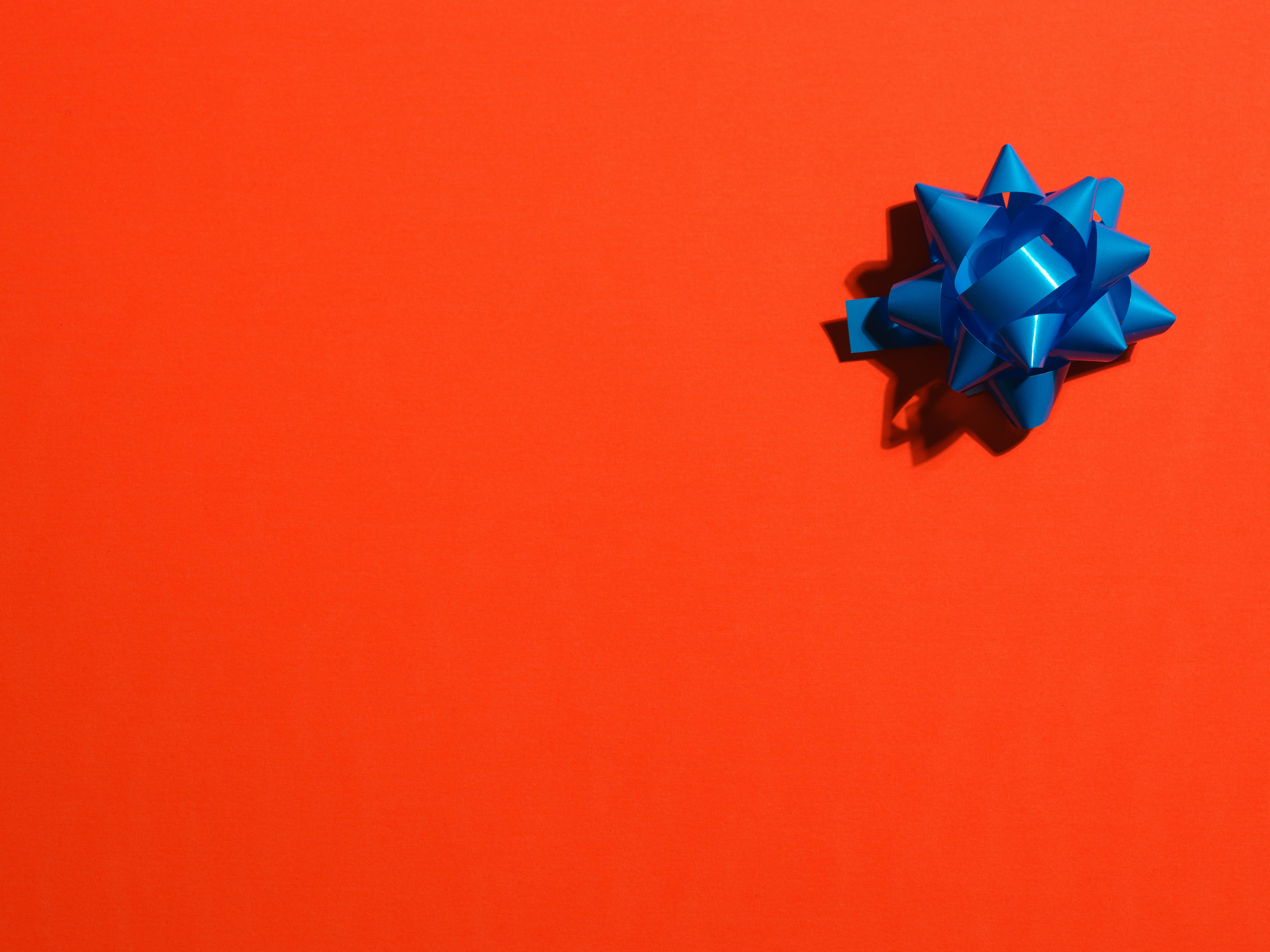 Blue gift bow on an orange canvas: a minimal still life
