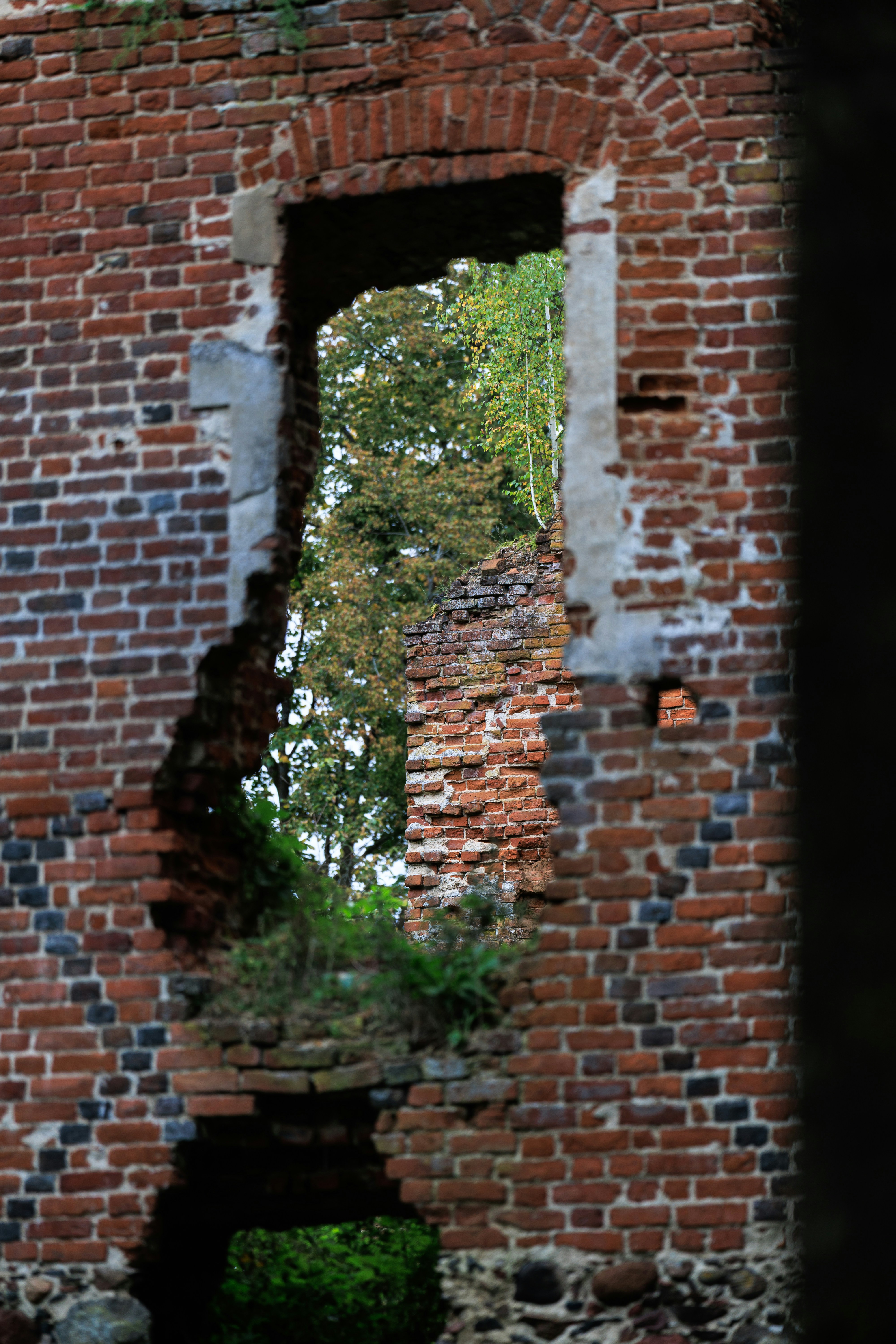 Through the Ruined Brickwork: A Framed Glimpse of Greenery Beyond
