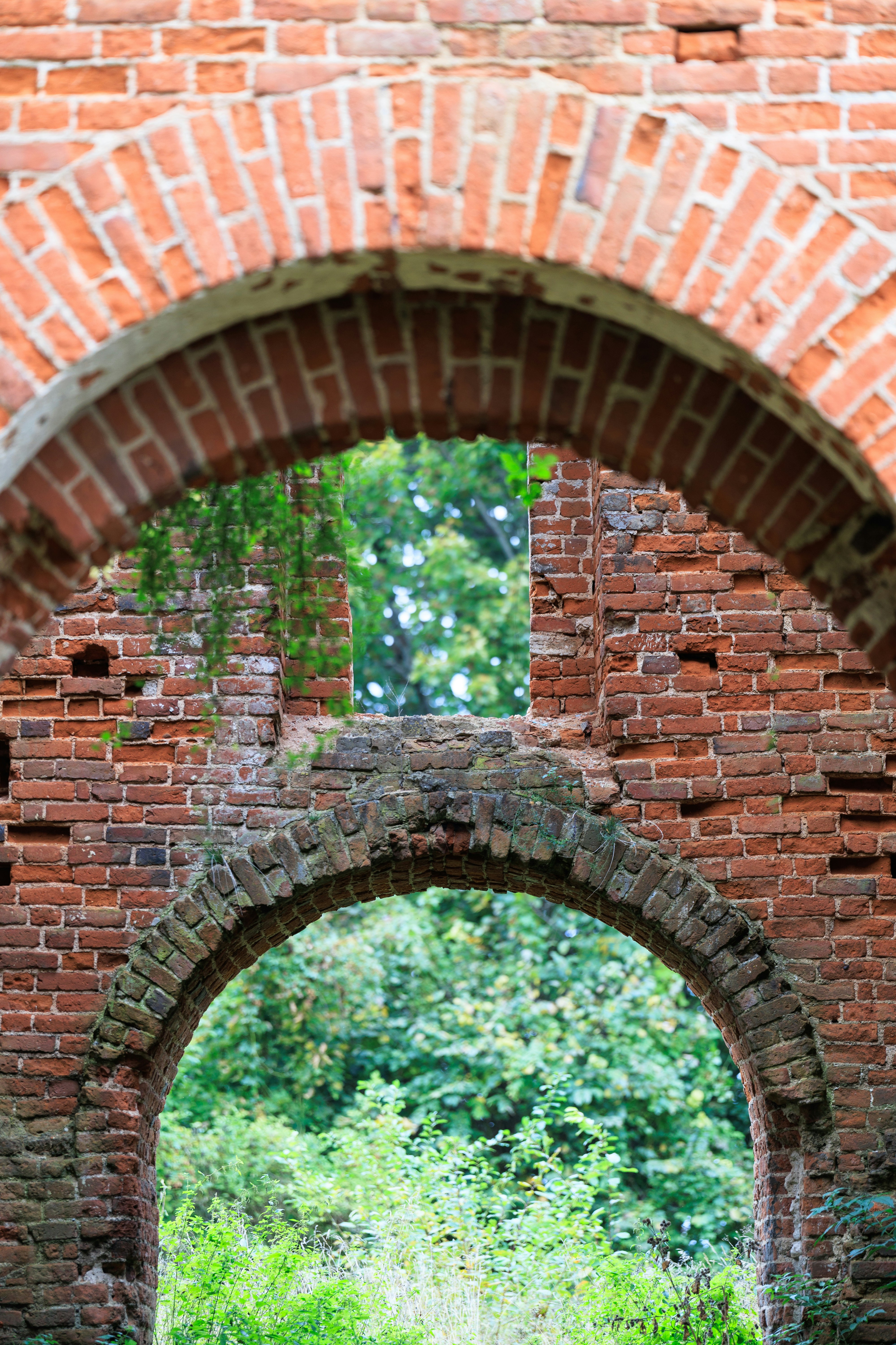 Emerald Gap: a verdant glow through aged brick arches