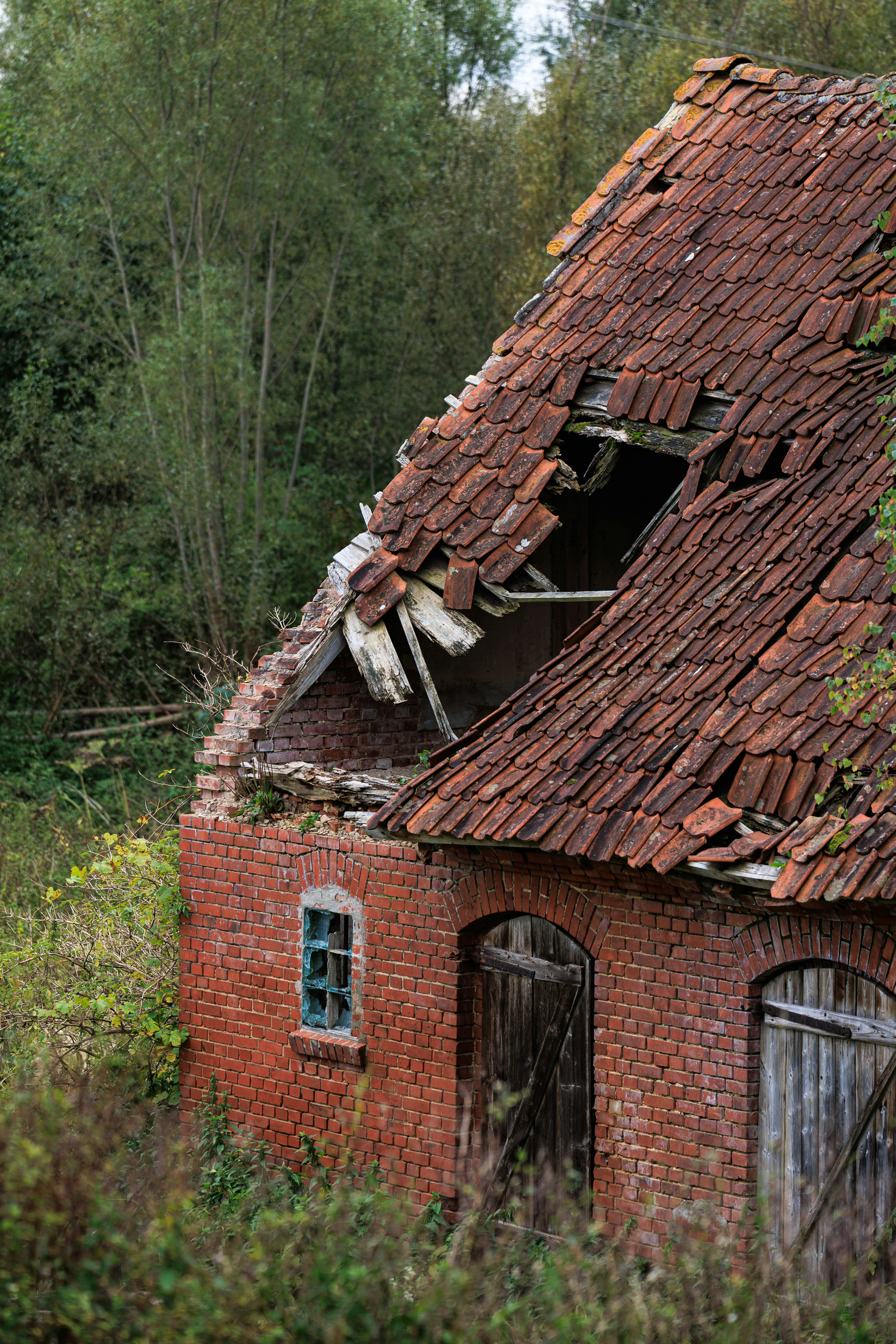 Ruined brick hut with collapsing roof in a wild meadow