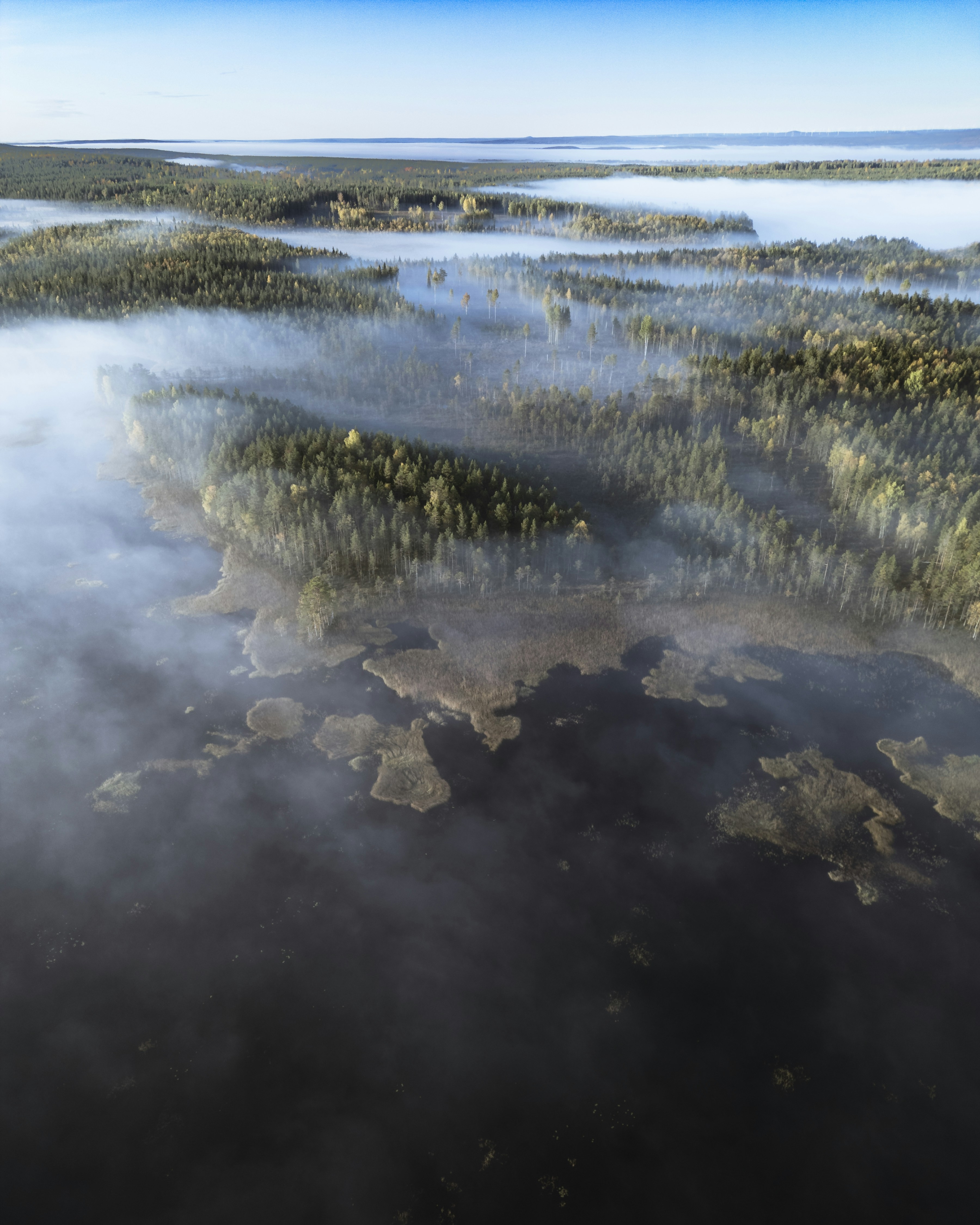 Mist over Tidal Forests: Aerial Quiet of Pebble Islands