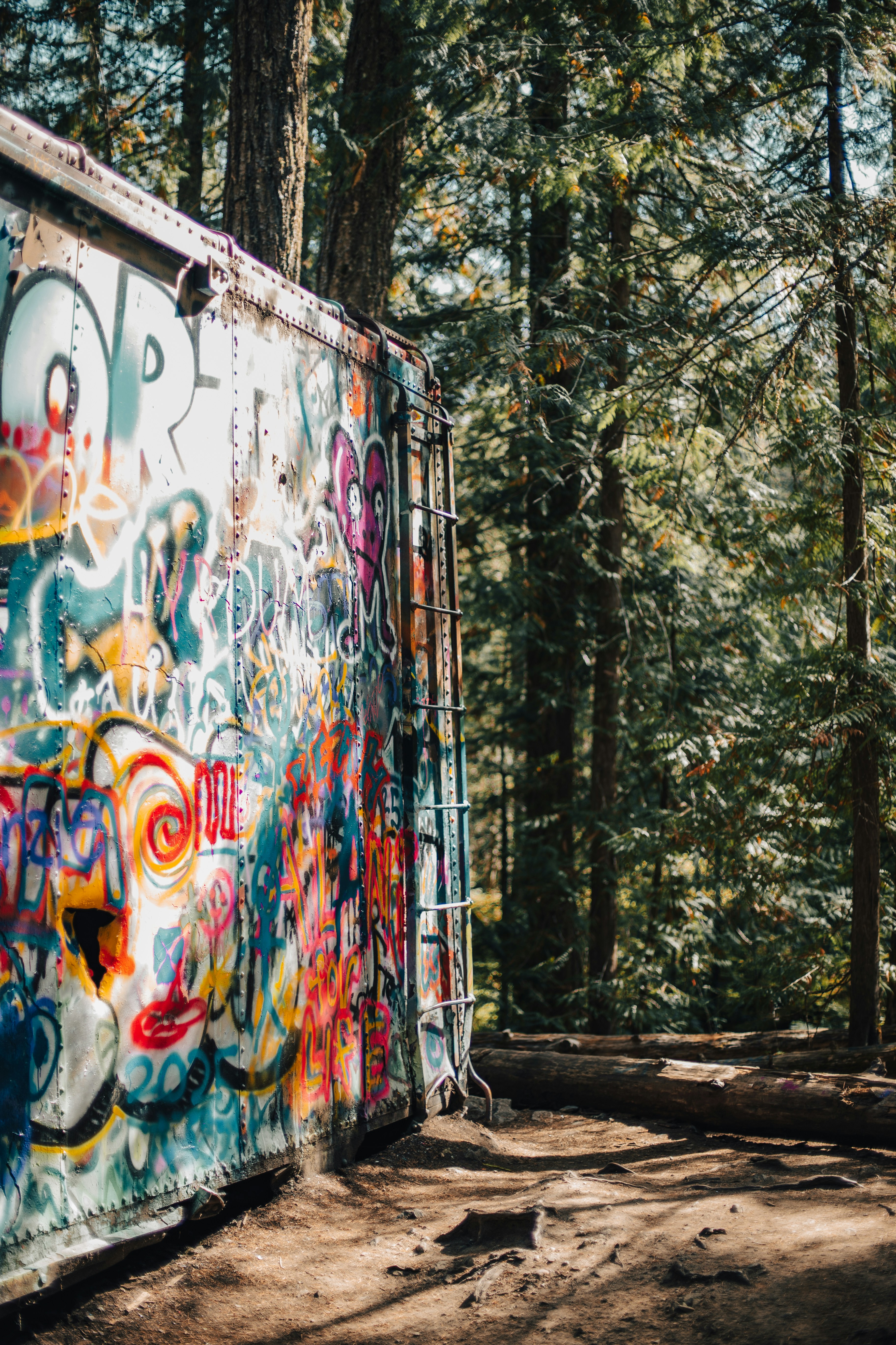 Graffiti Train Car in a Quiet Timber Frame