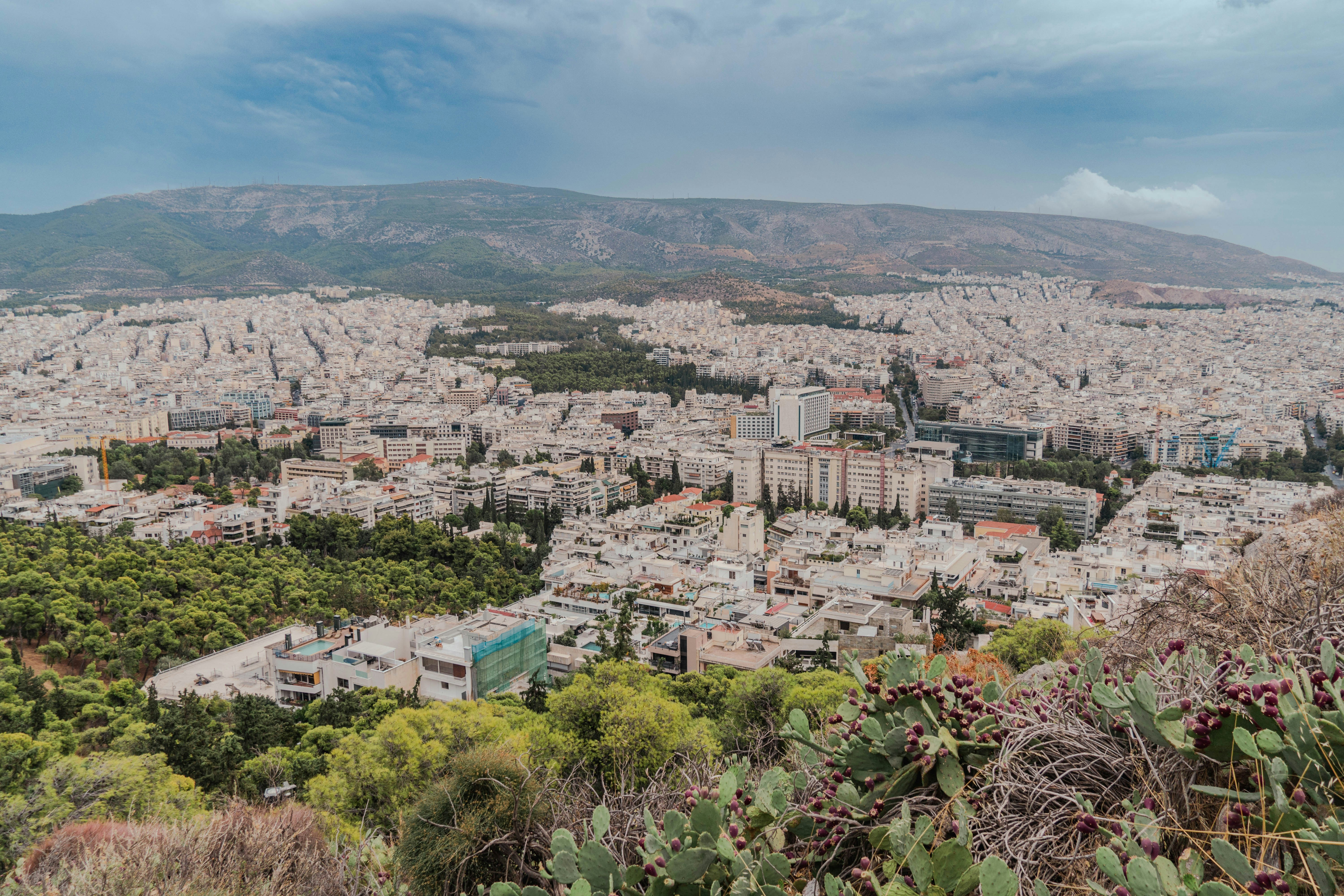 Urban Valley: A Mediterranean City Descends from Verdant Hills