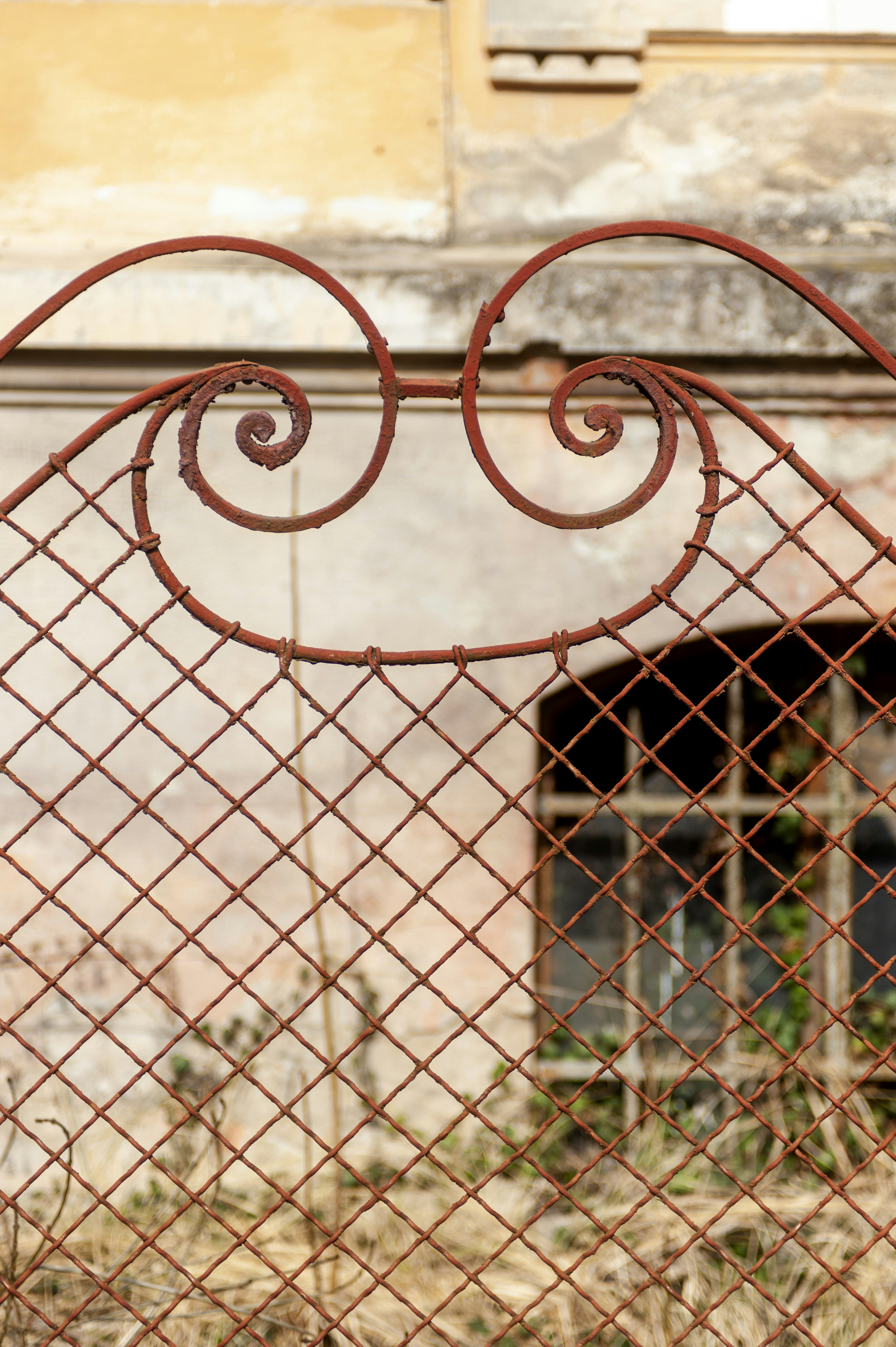 Gilded Web: Rusted Fences Framing a Silent Courtyard
