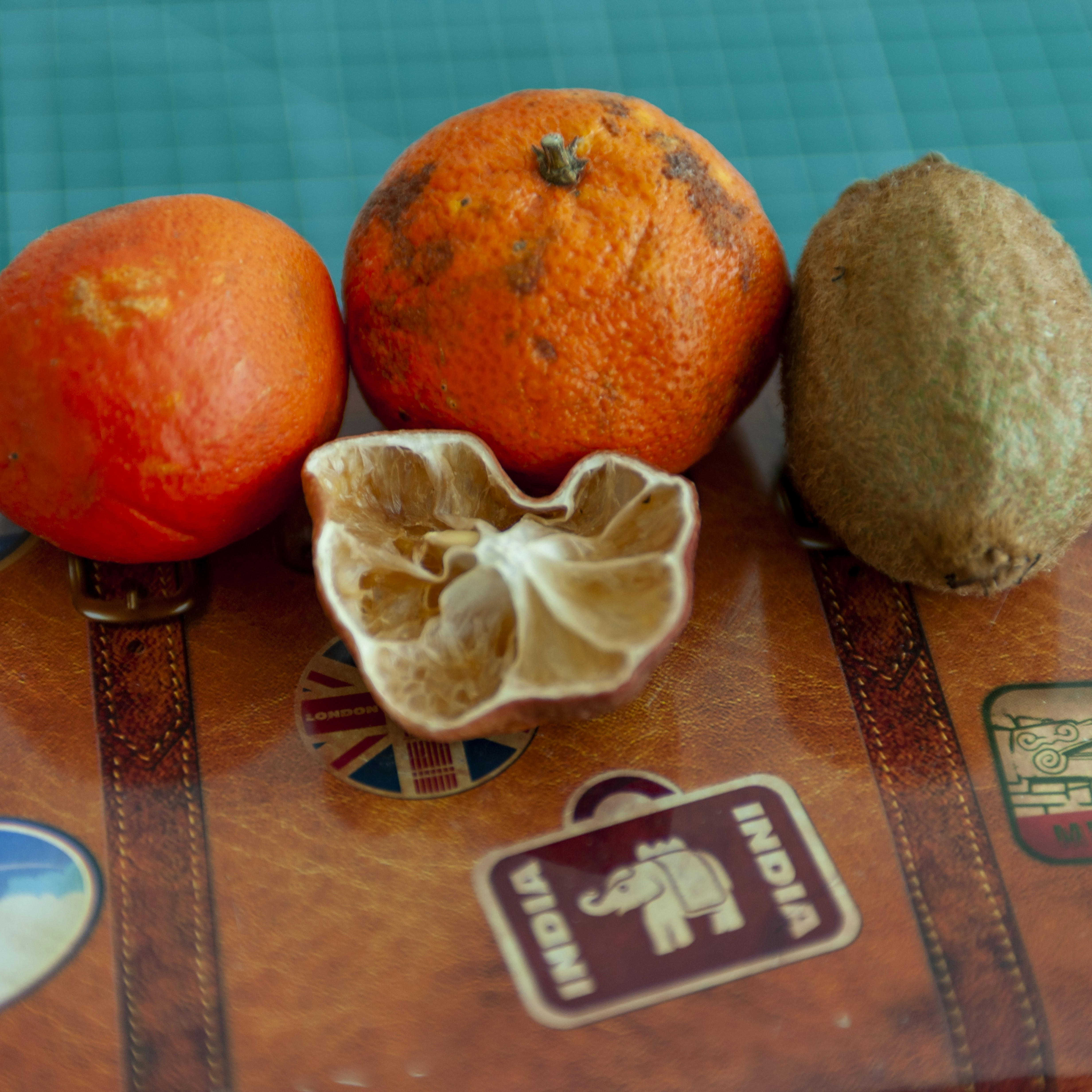 Peels and Oranges on a Luscious Leather Surface