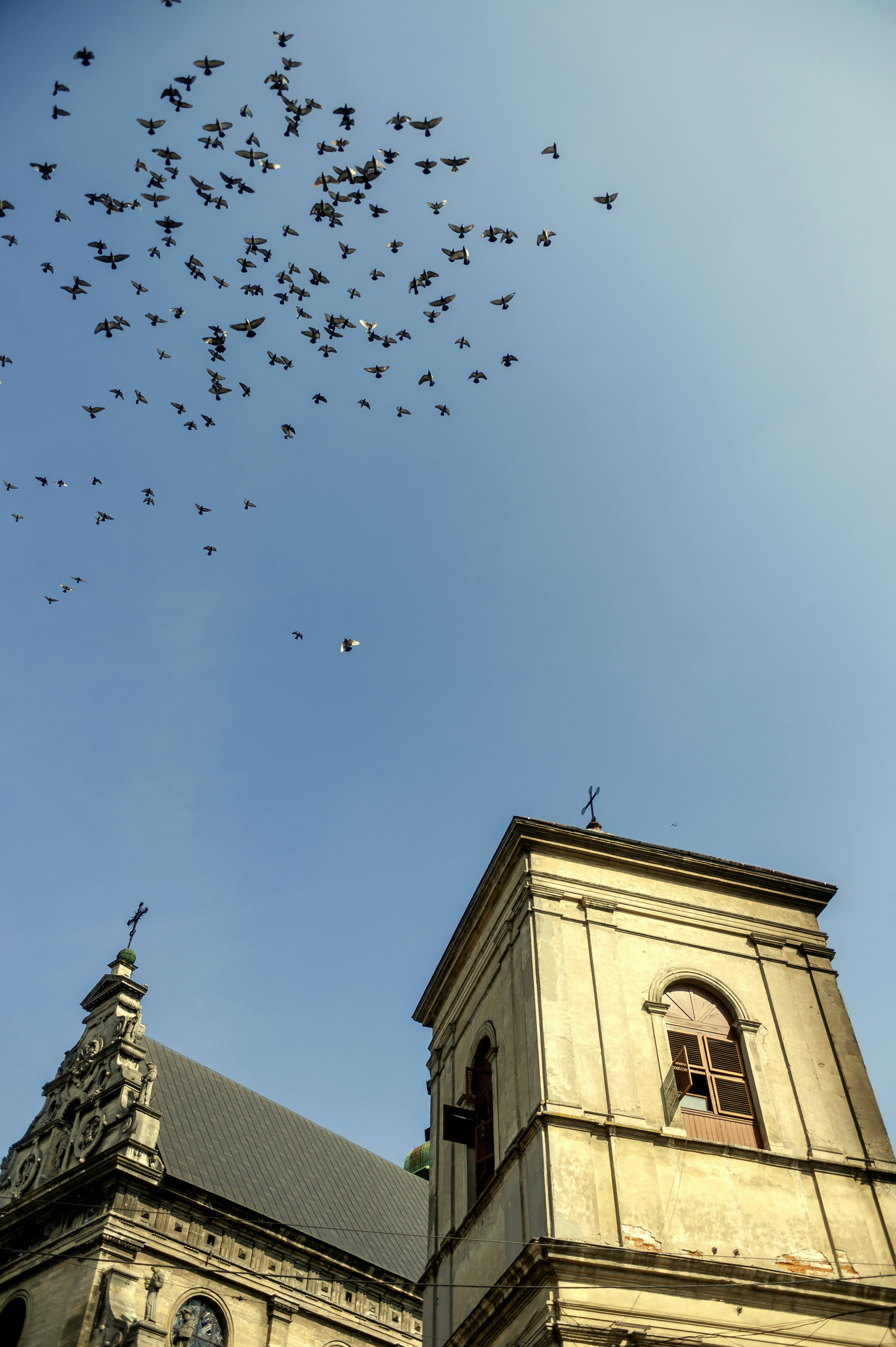 Bell Tower Under a Flock: A City Church Reaches Toward the Sky
