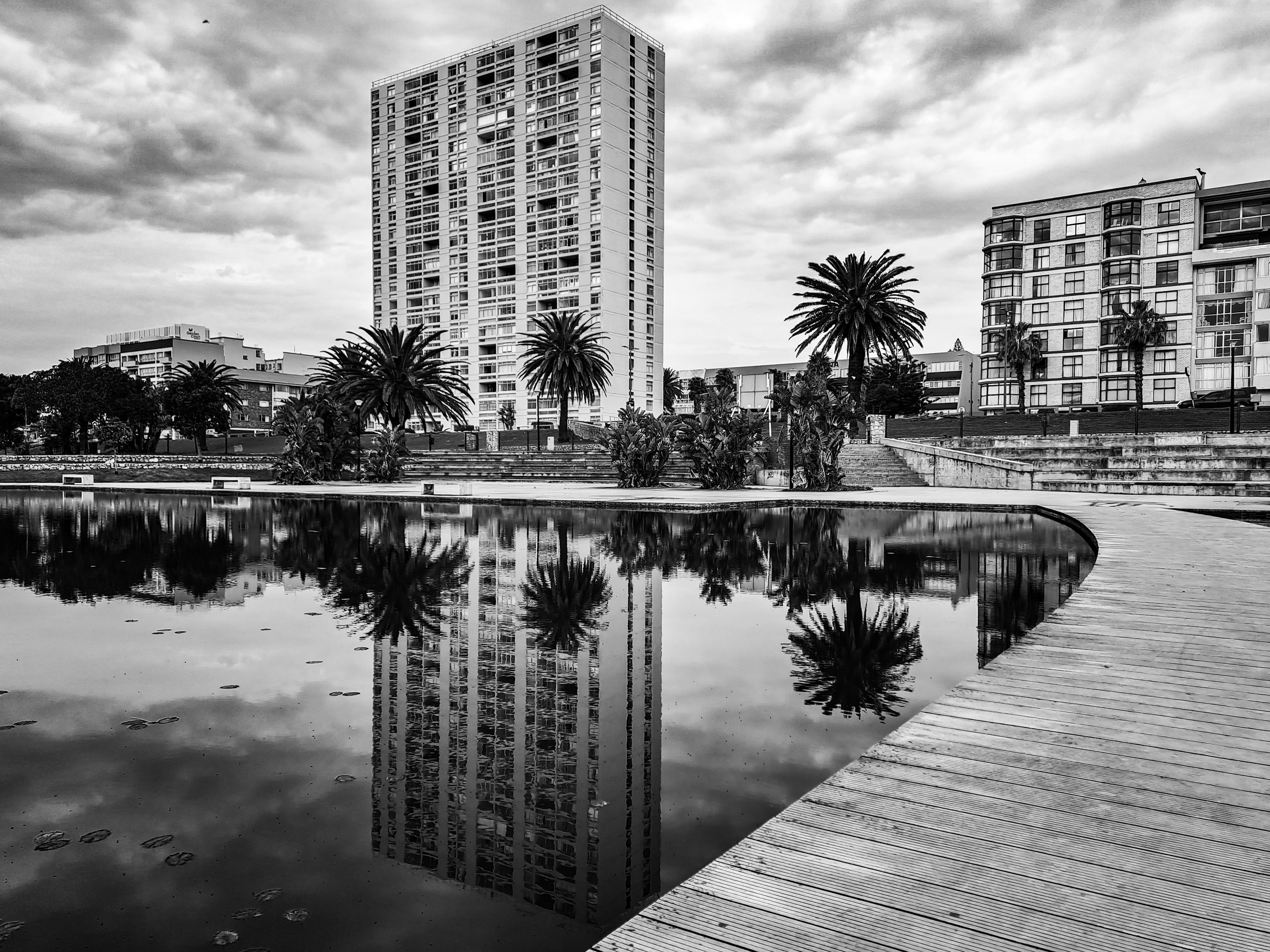 Twin Towers and Palms: Still Waters Reflect an Urban Silhouette