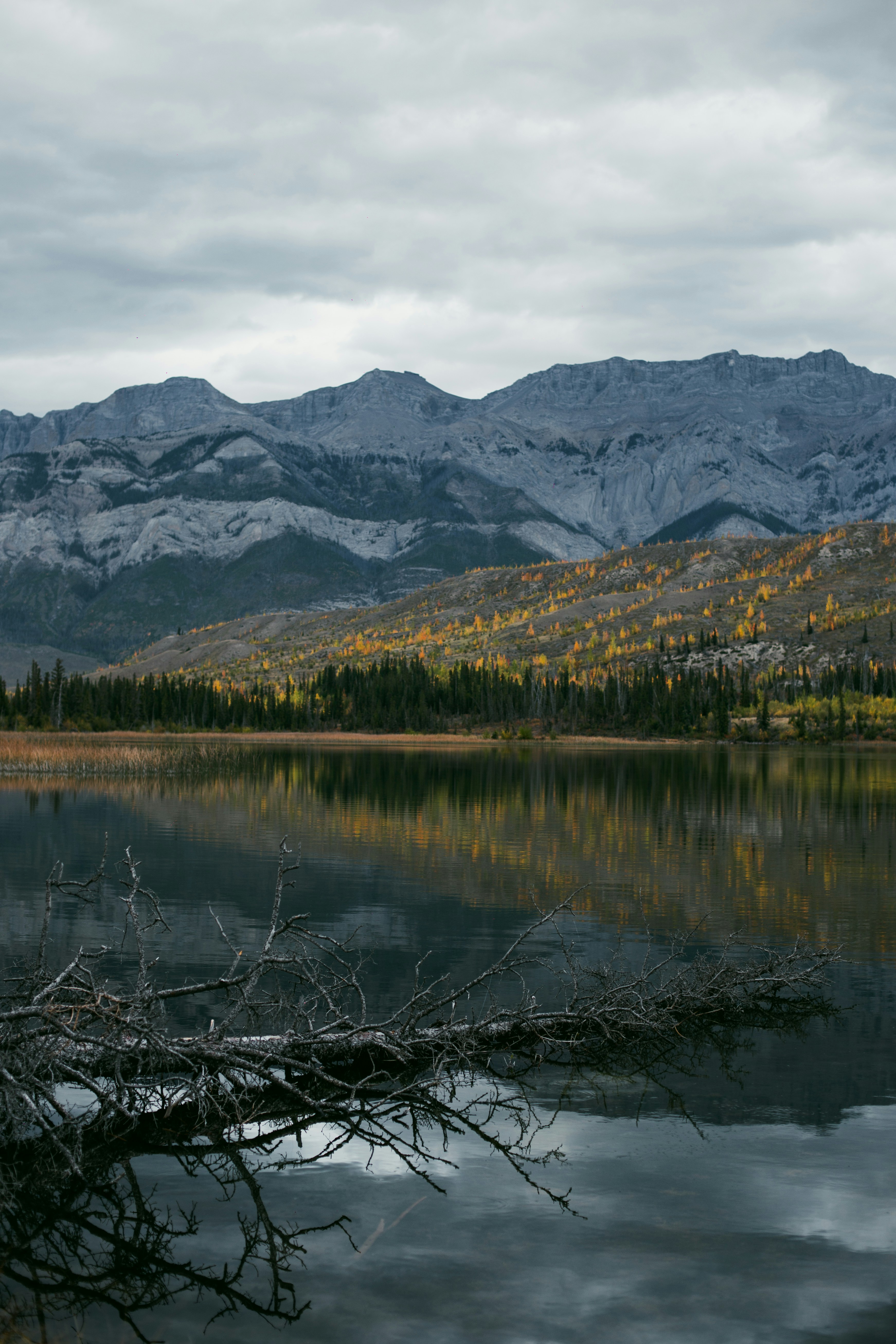 Autumn Rim: A Mirror of Golden Trees and Craggy Peaks