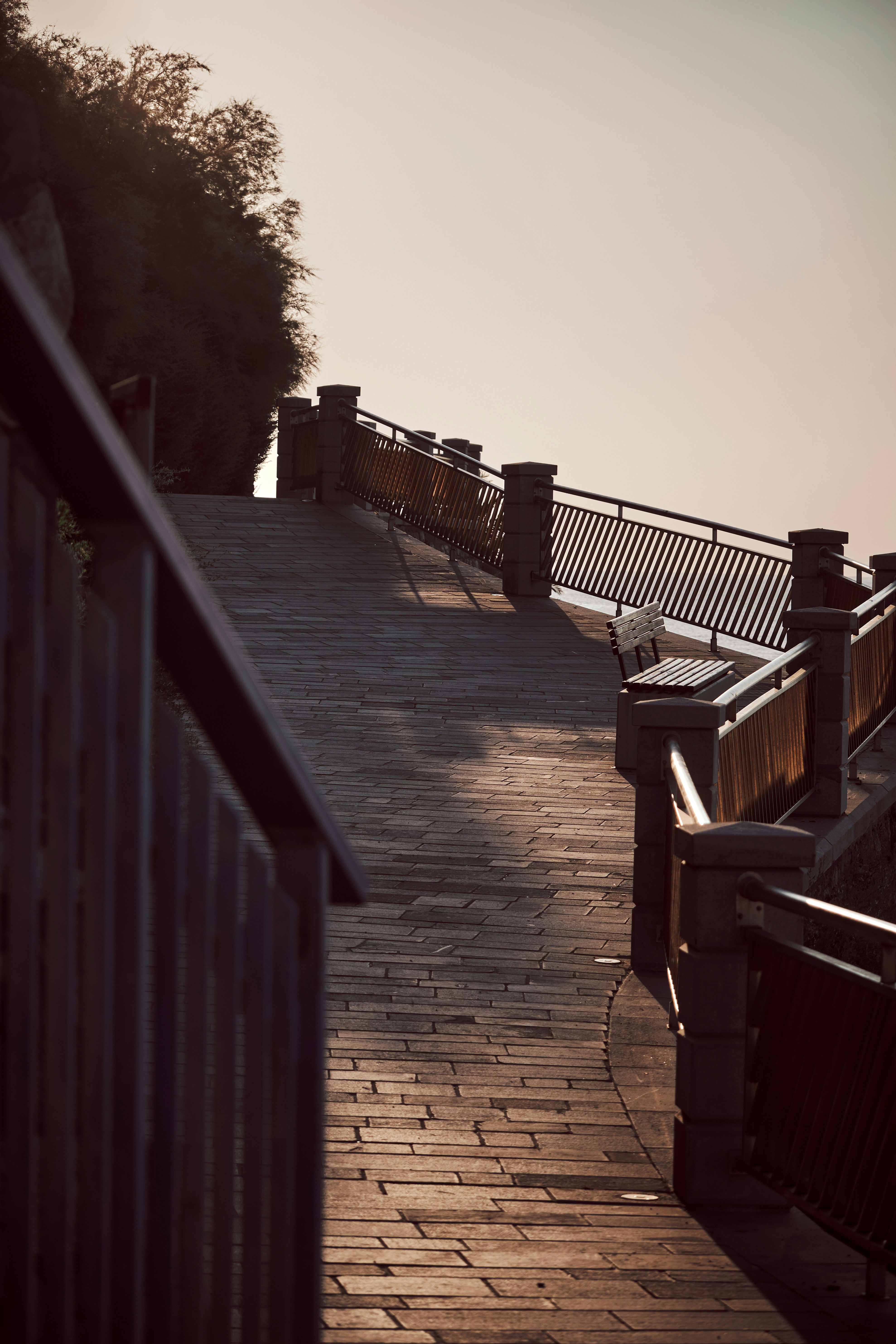 Sunlit Promenade: A Quiet Ascent Along the Riverside Railings