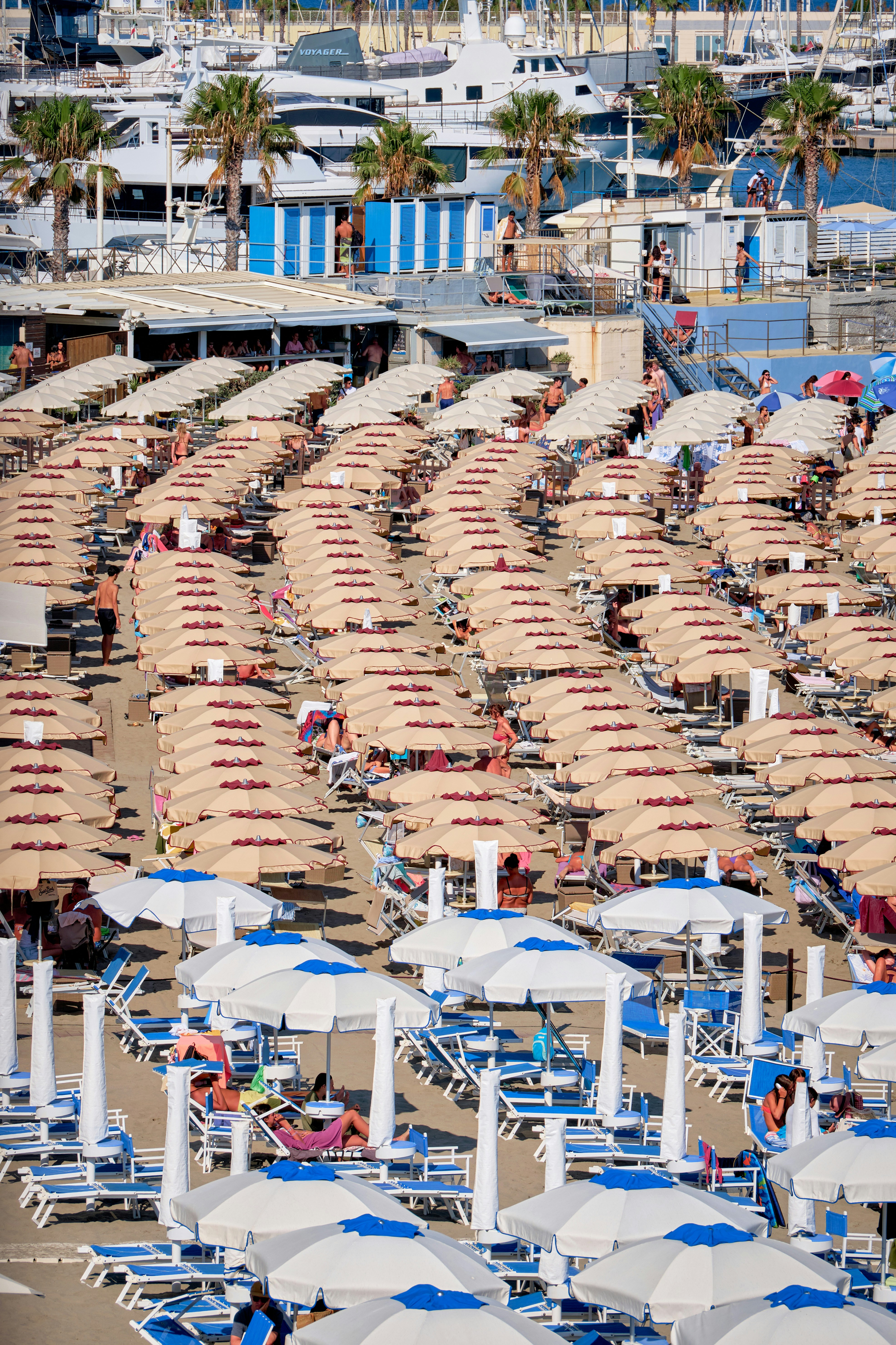 Sunlit Beach Armada: Rows of Blue-Trim Umbrellas on a Bustling Shoreline