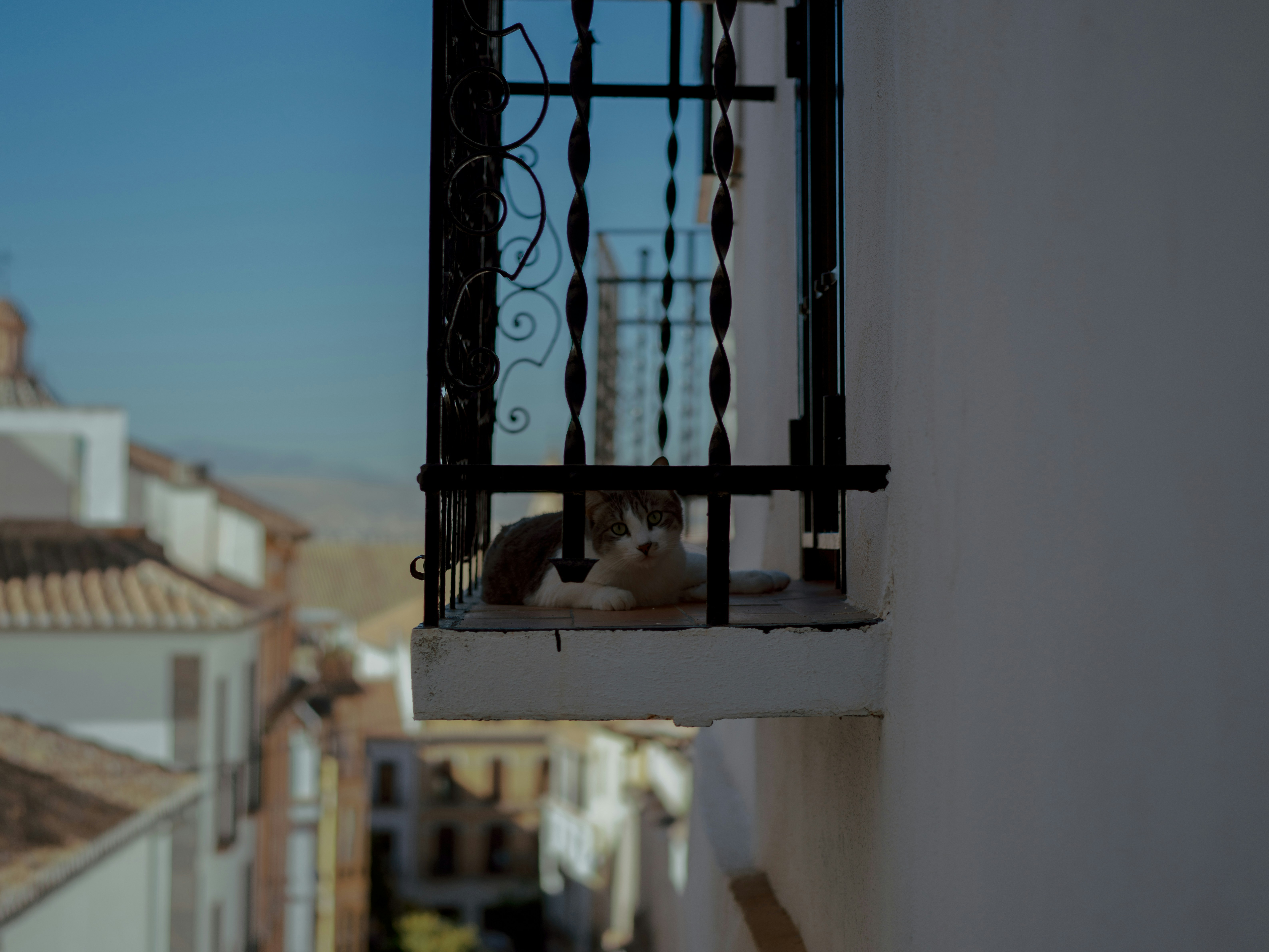 Whispered View from a Narrow Balcony