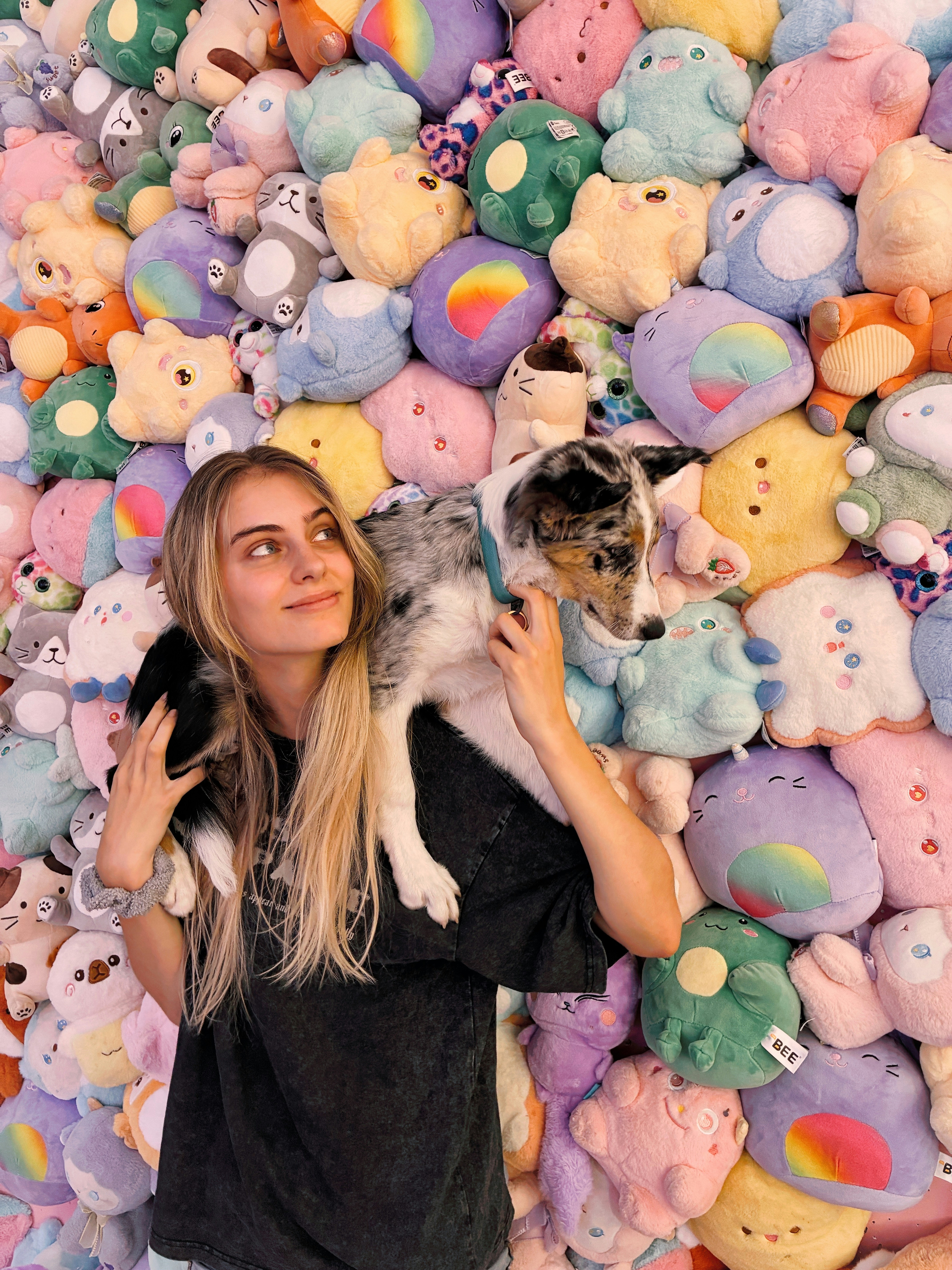 Portrait Among Plush: A Woman with a Dog in a Sea of Cuddly Colors