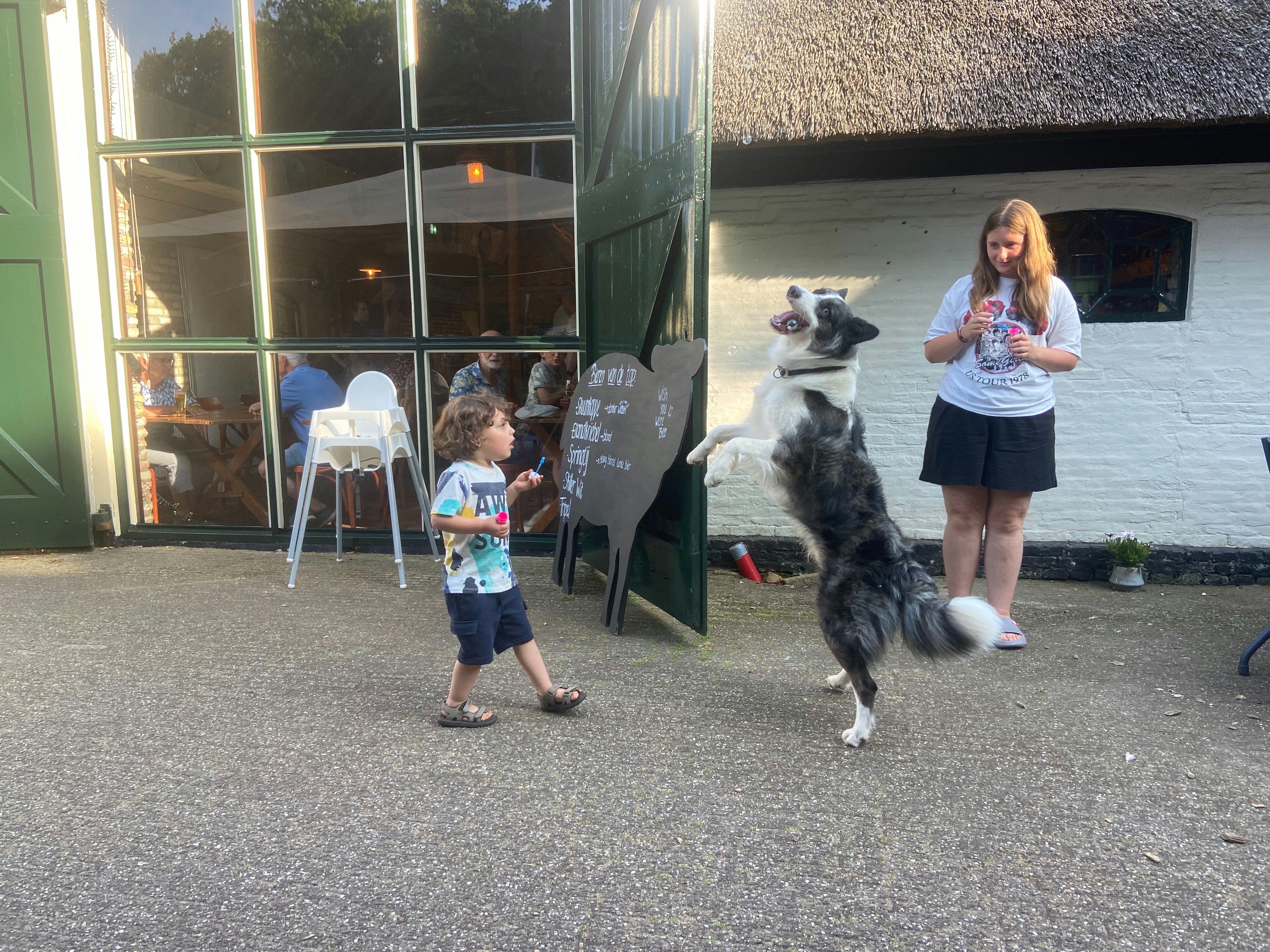 Mid-Leafy Exchange: Child, Dog, and Visitor Center Stage