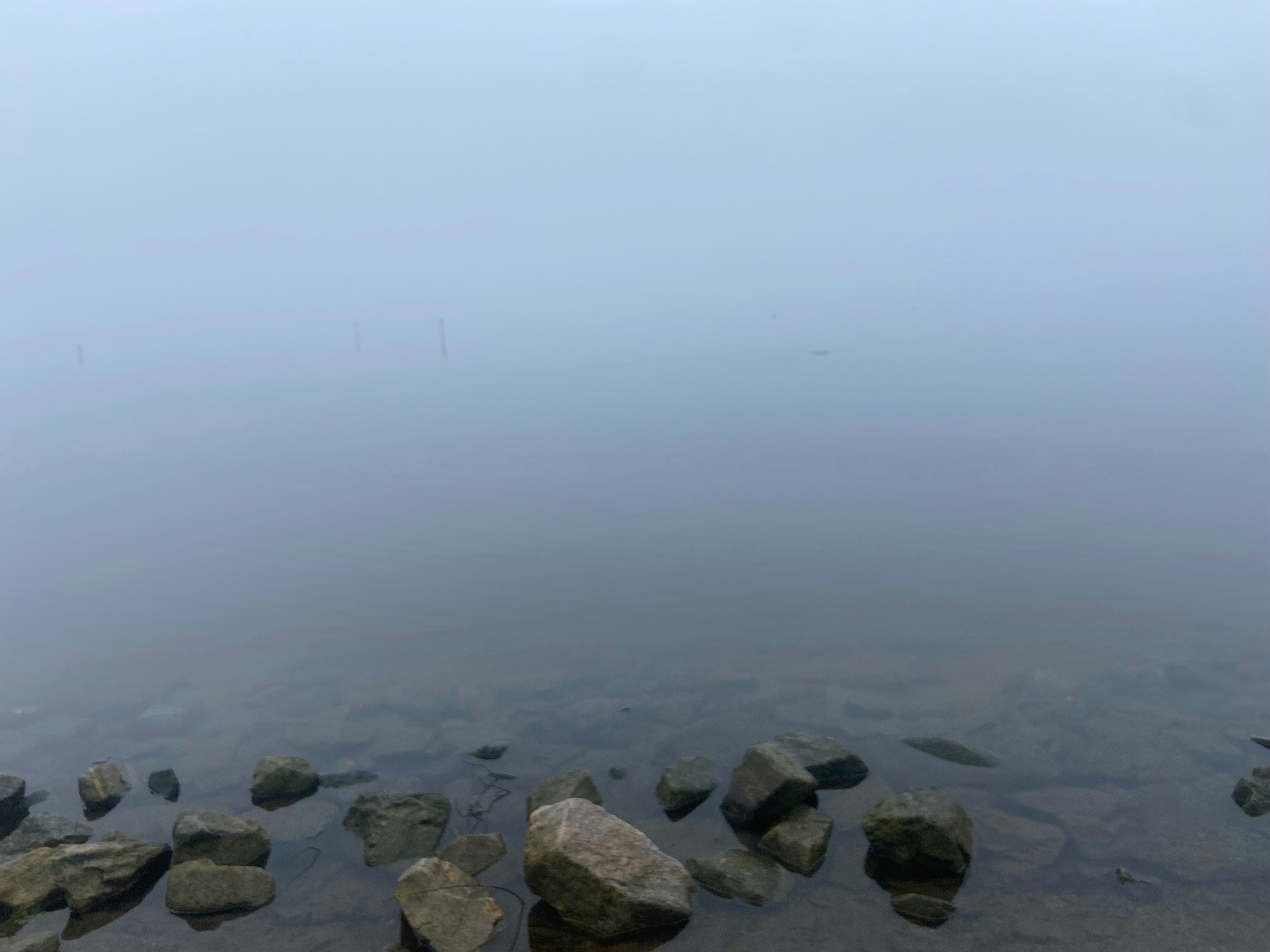 Fogbound Lake Edge: Stones Meet the Quiet Horizon