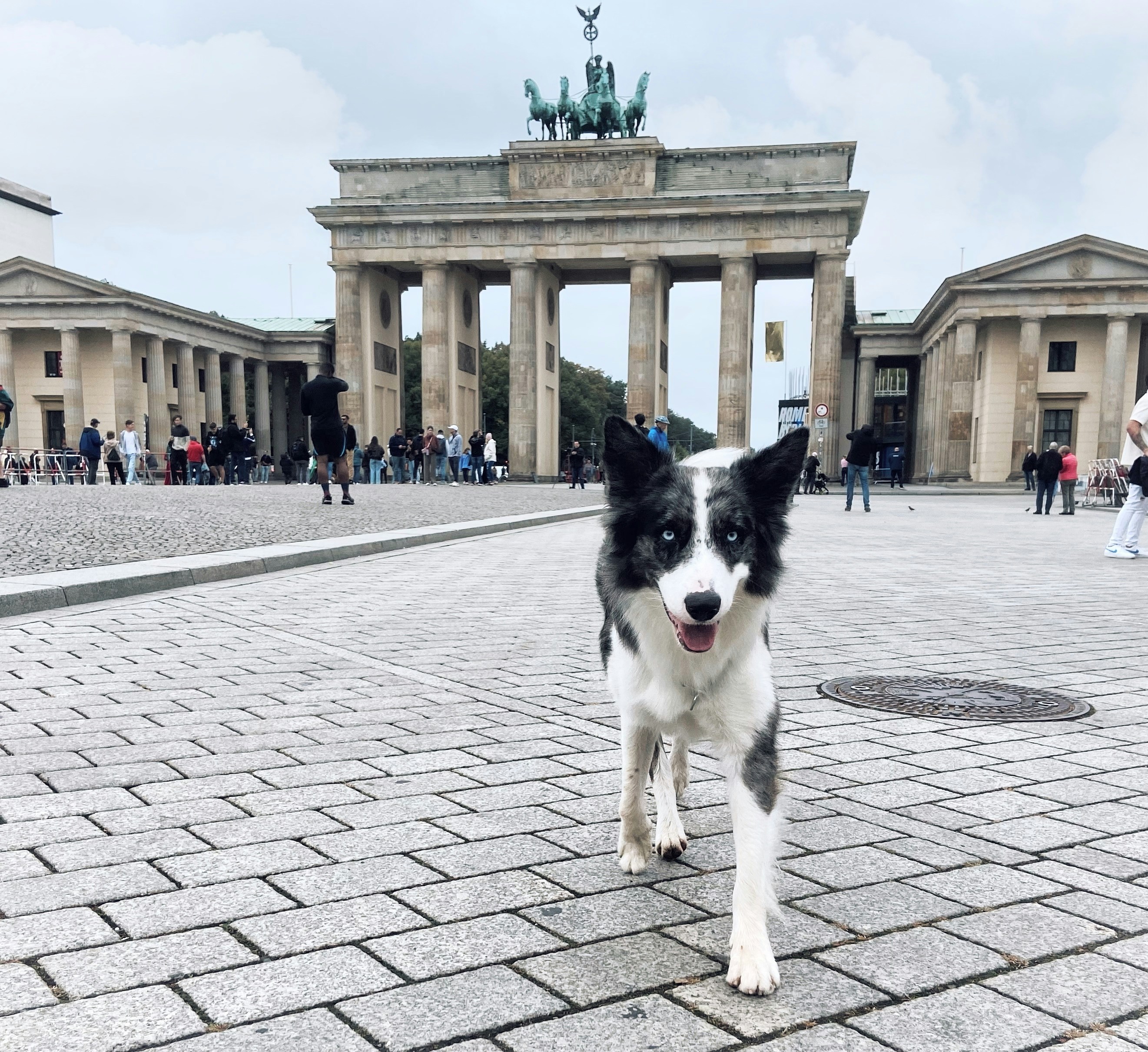 Borderline of Playful Gaze: A Border-Pounder Approaches Brandenburg's Echo