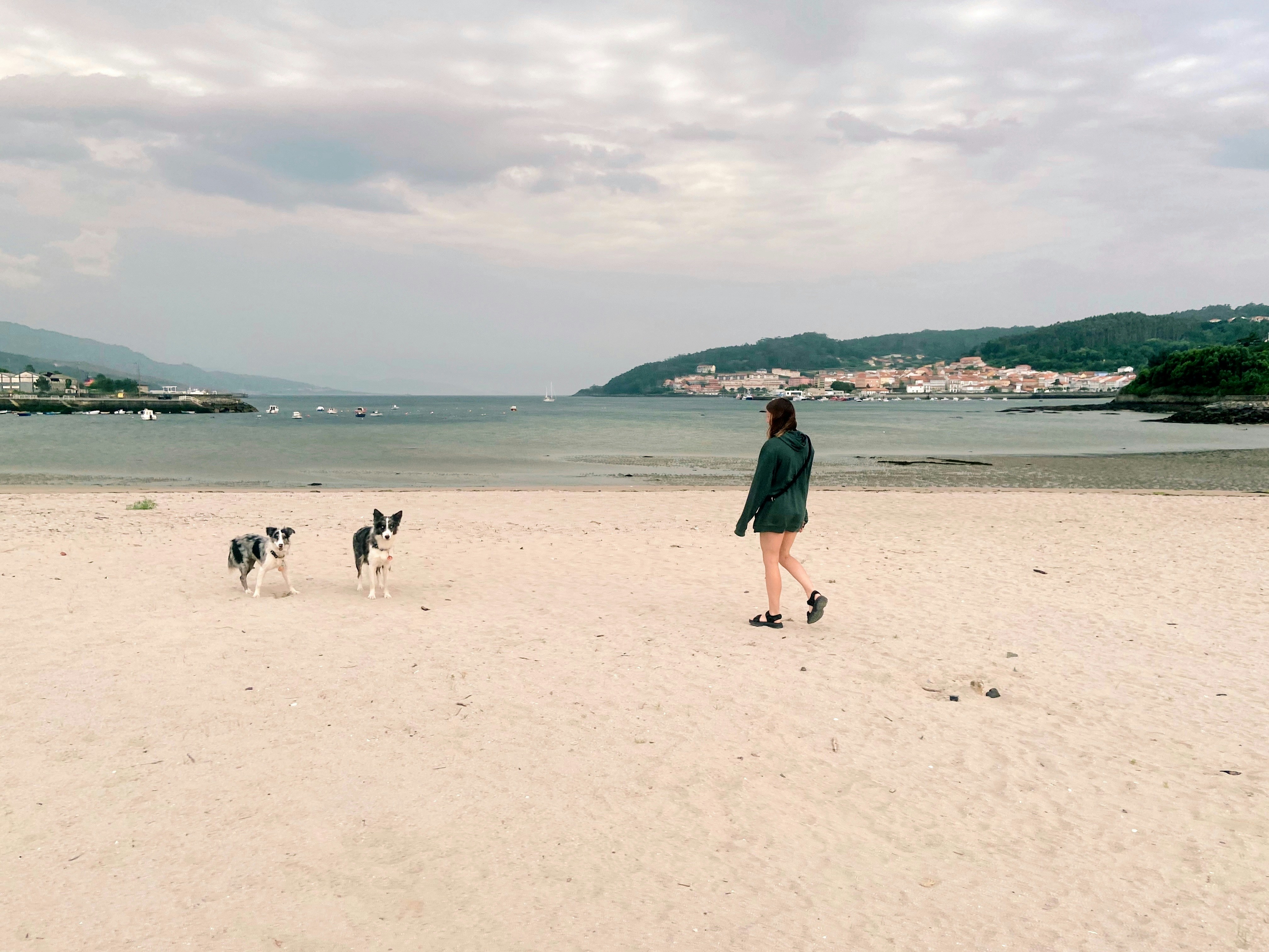  solitary walker and two dogs on a sandy beach under expansive sky