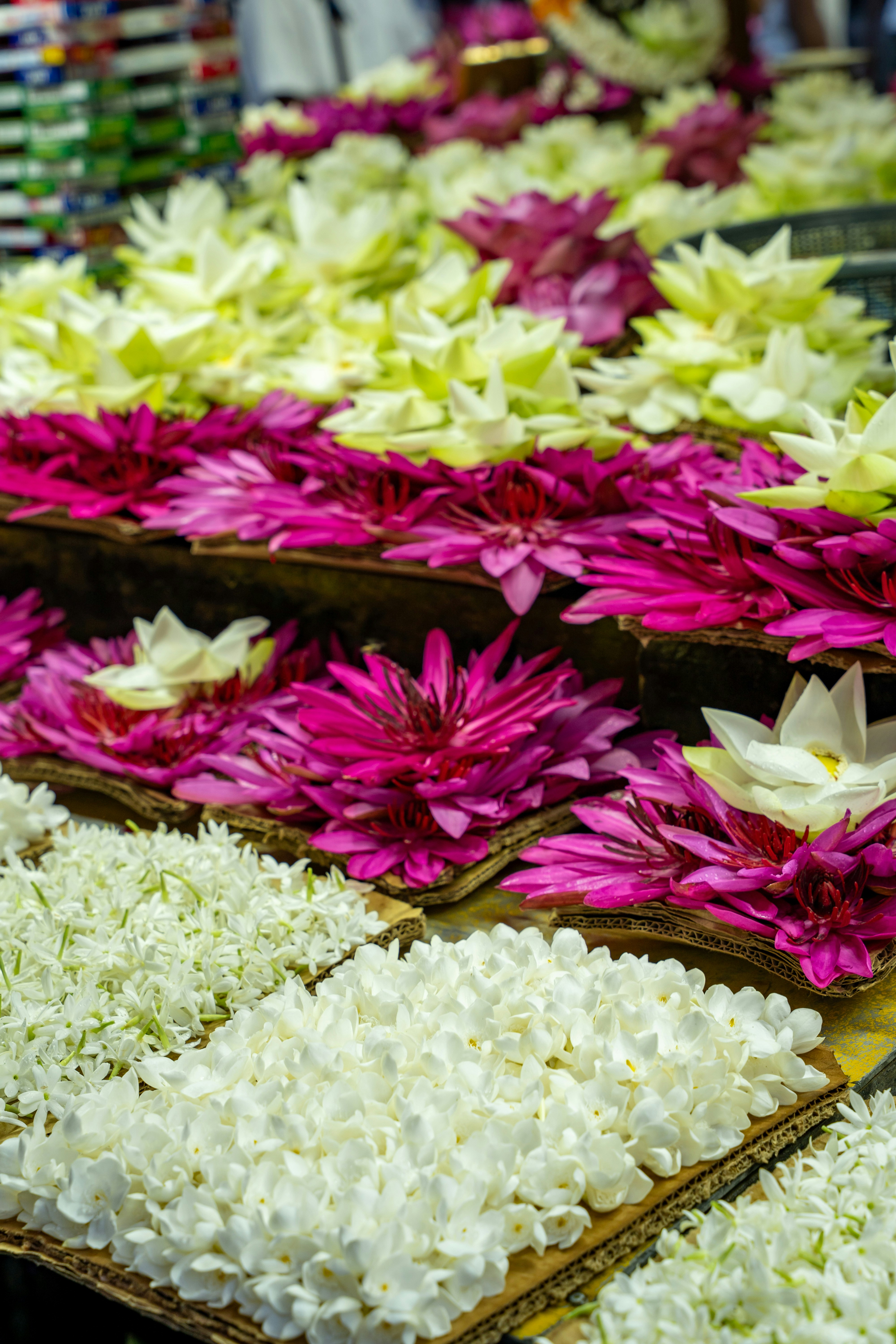 Field of Neon Blooms: Layered Floral Display in a Market Aisle