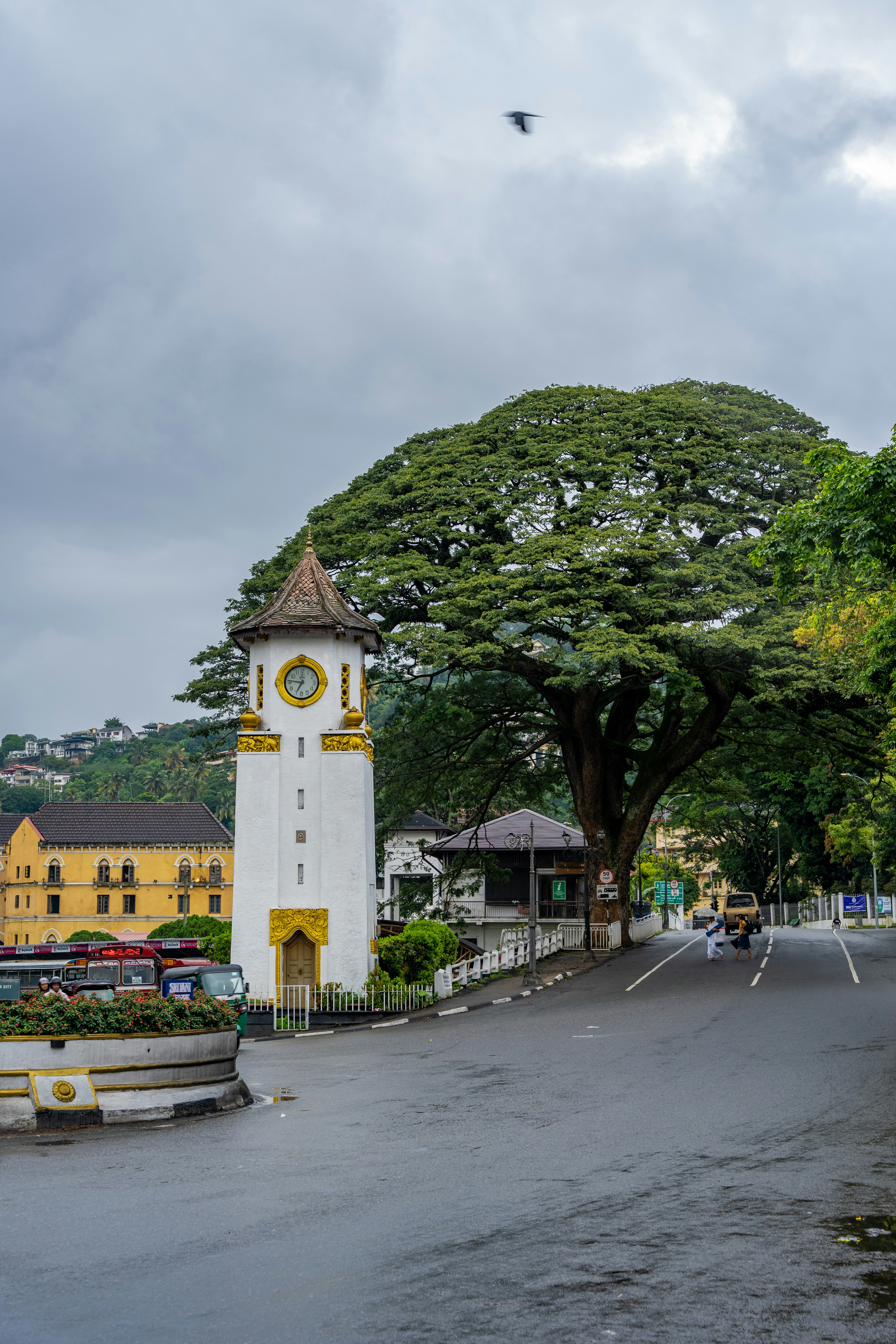 Clock Tower by the Winding Street Under the Canopy