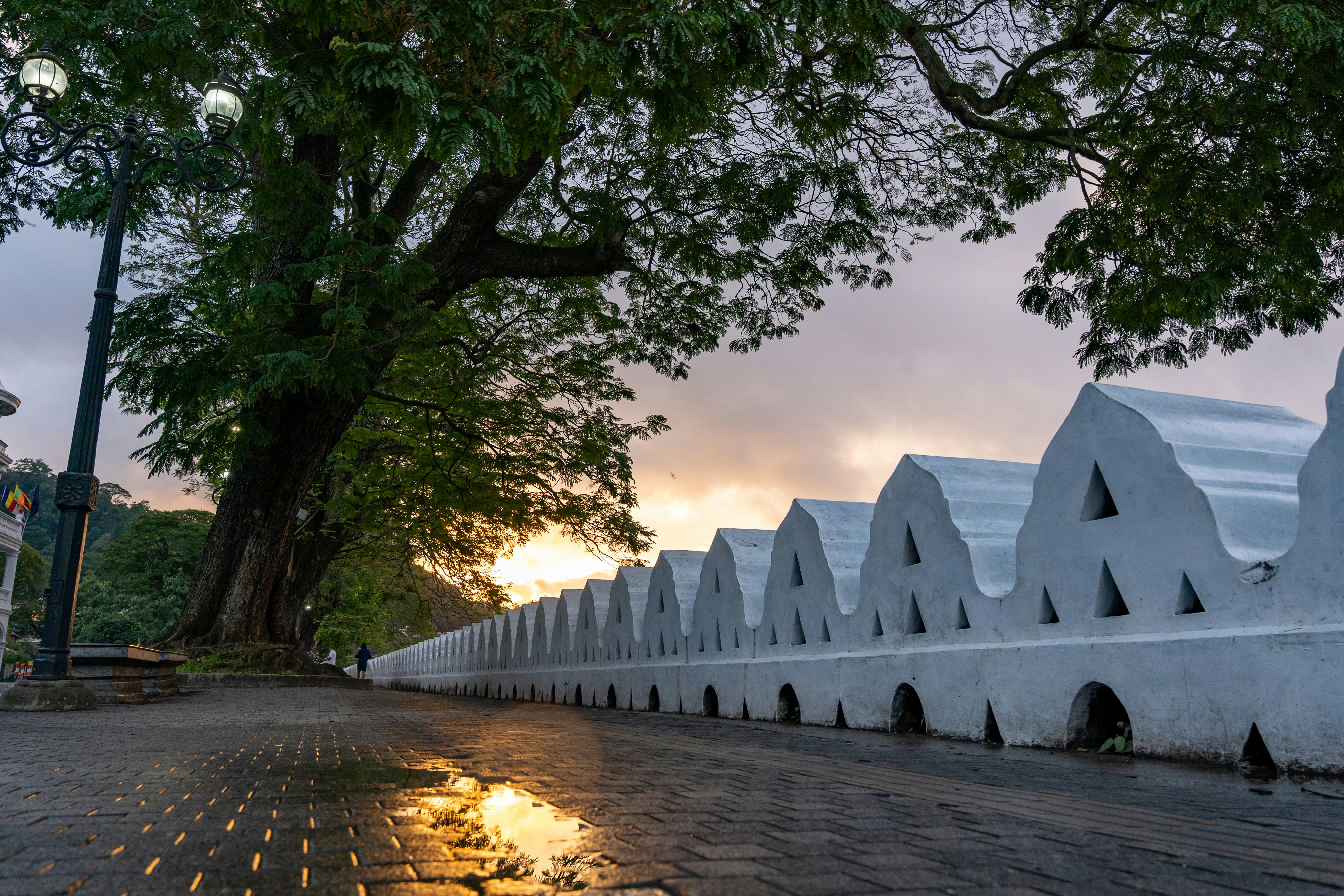 Sunset Boulevard: A Quiet Path Along a Row of White Arches