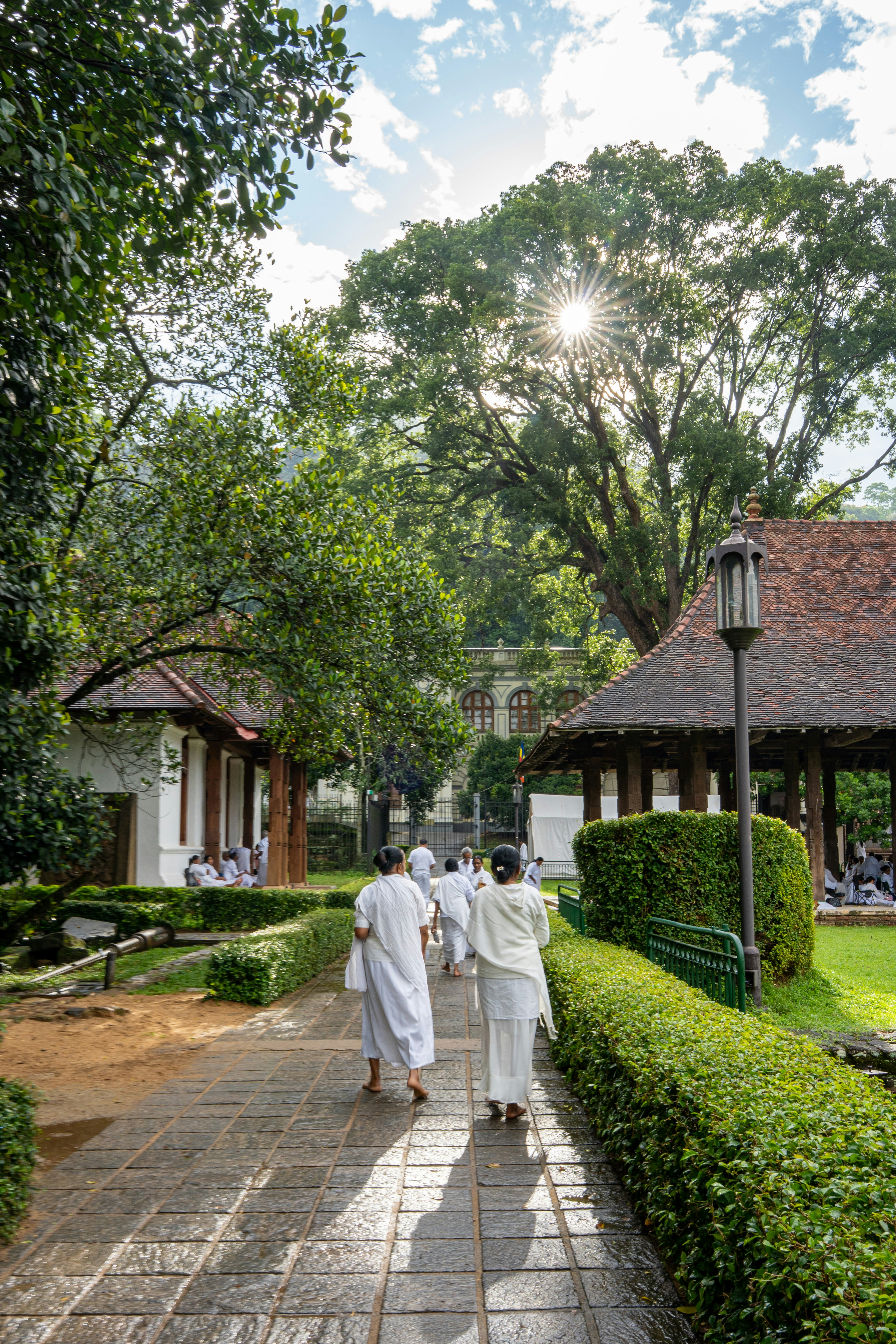 A Serene Temple Path Framed by Greenery and Morning Light