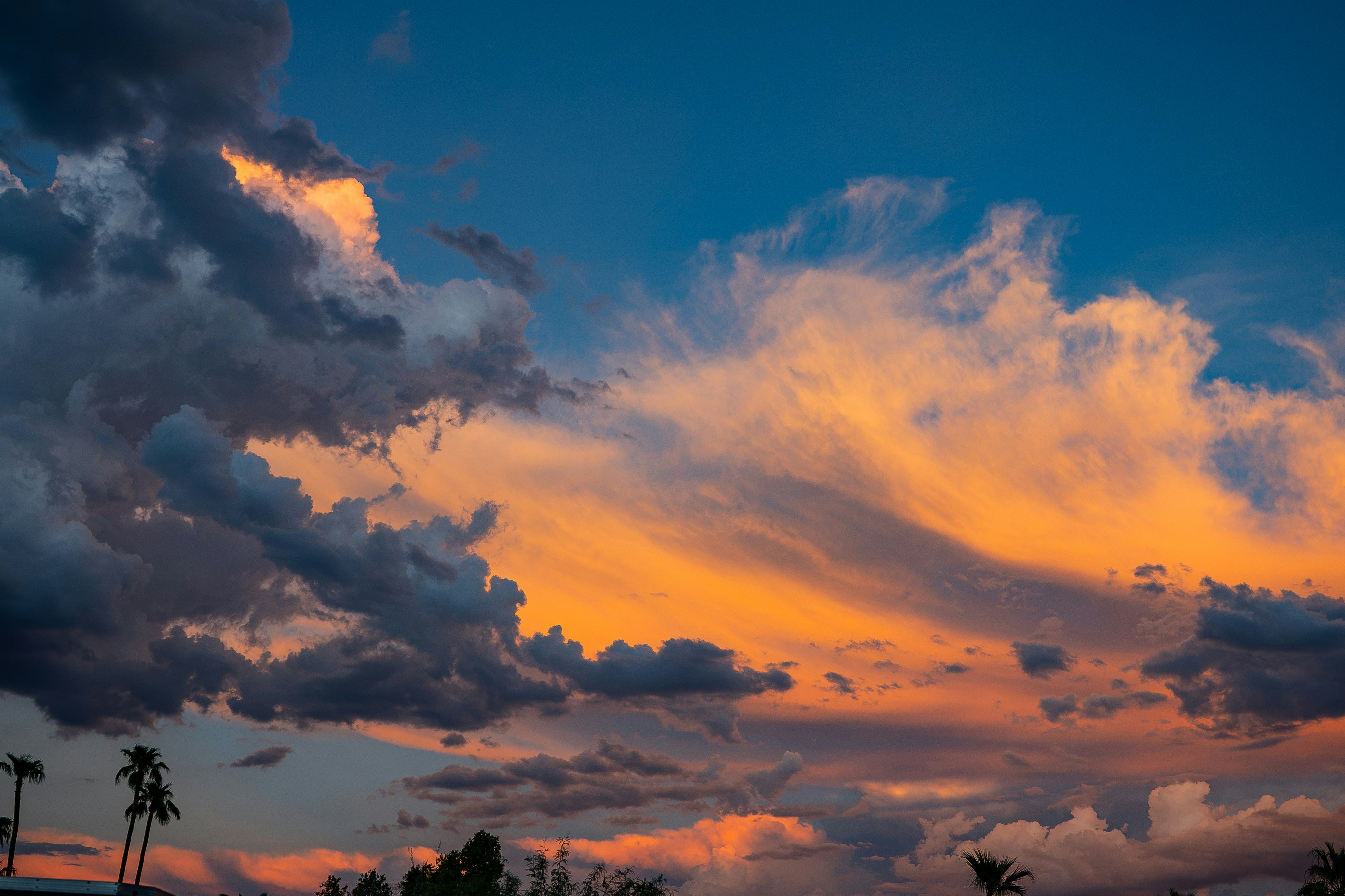 Dramatic sunset sky with orange and gold clouds over a silhouetted horizon; palm silhouettes add depth and scale. A tranquil landscape accentuating warm atmospheric tones.