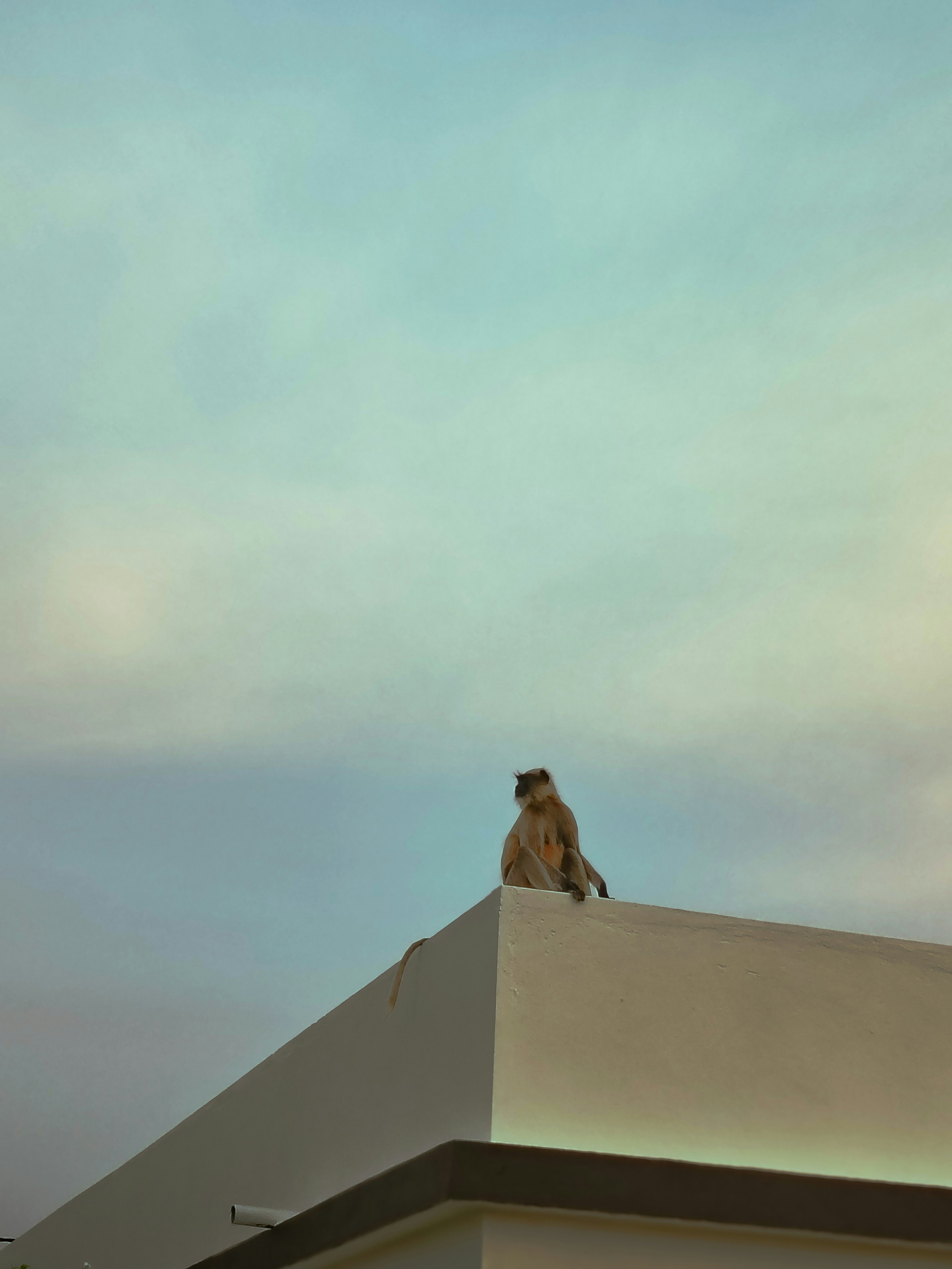 Monk on the Edge: A Solitary Silhouette Against a Calm Sky