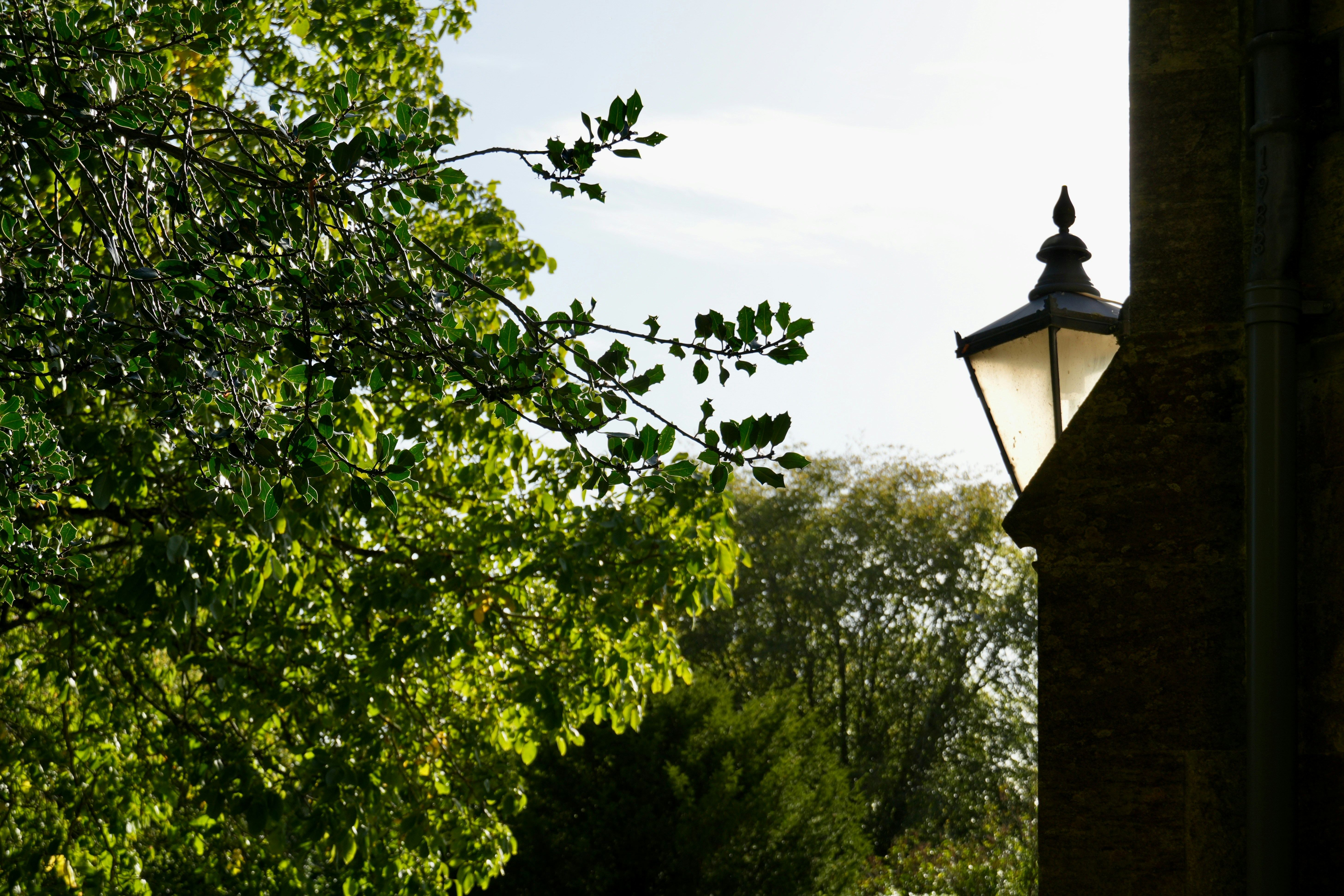 Sunlit Green Canopy Framing a Classic Street Lantern