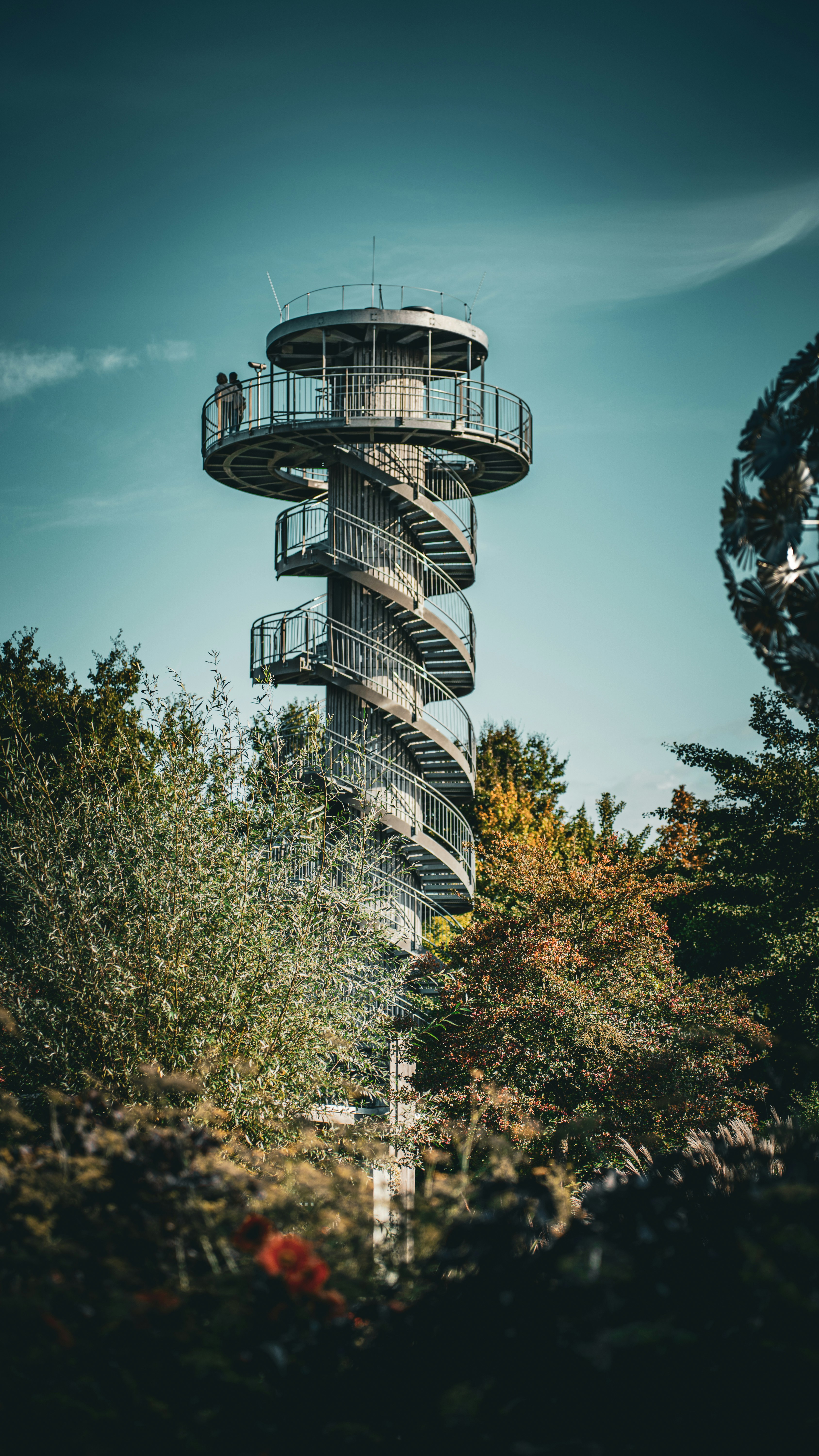 Photo by Vladislav Anchuk with Sony Alpha 7 III