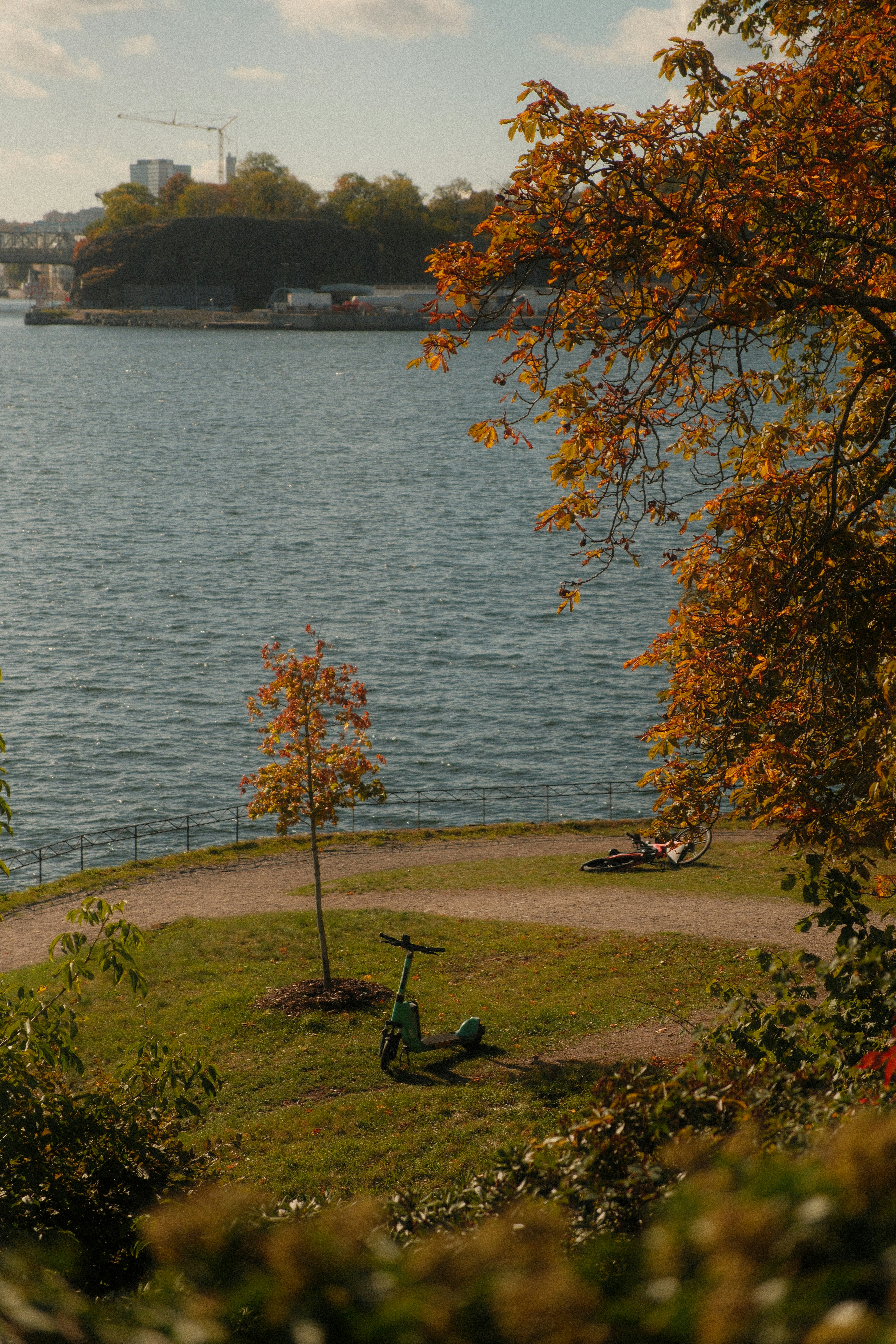 Autumn Riverside: A Quiet Park by the Water