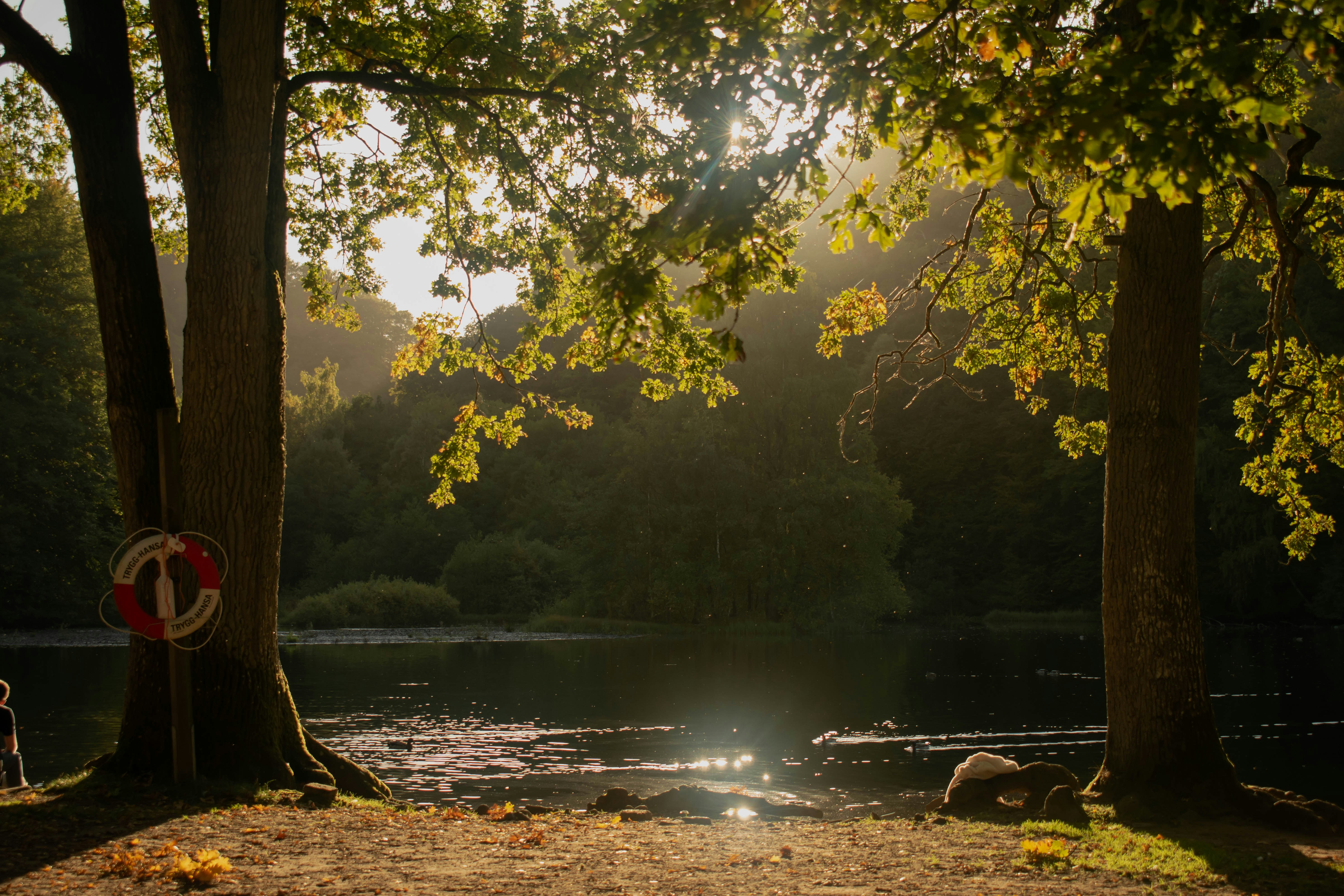 Golden Quiet by the Riverside