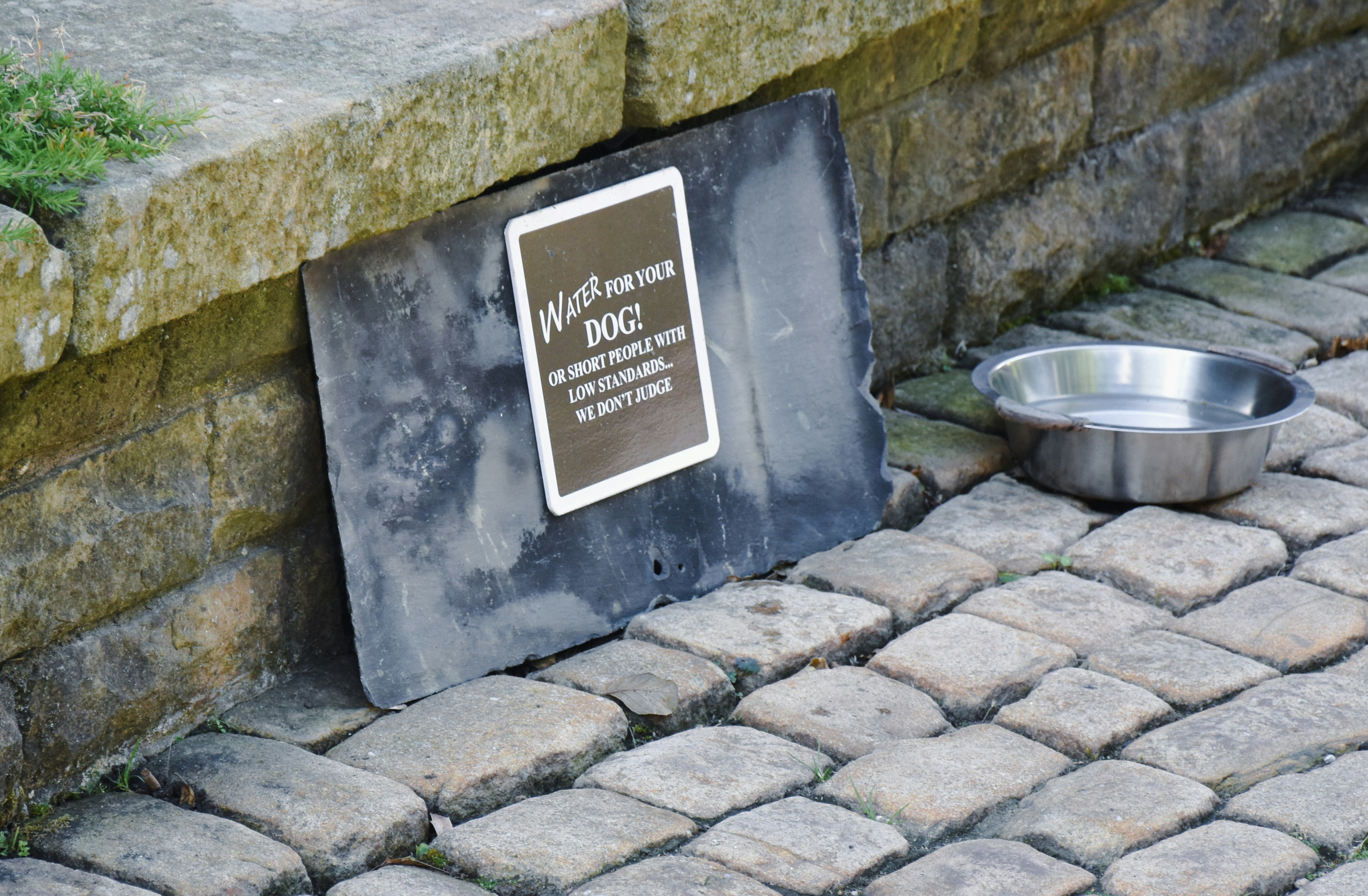Quiet Streetway Sign: A Shelter For a Pet's Water Bowl