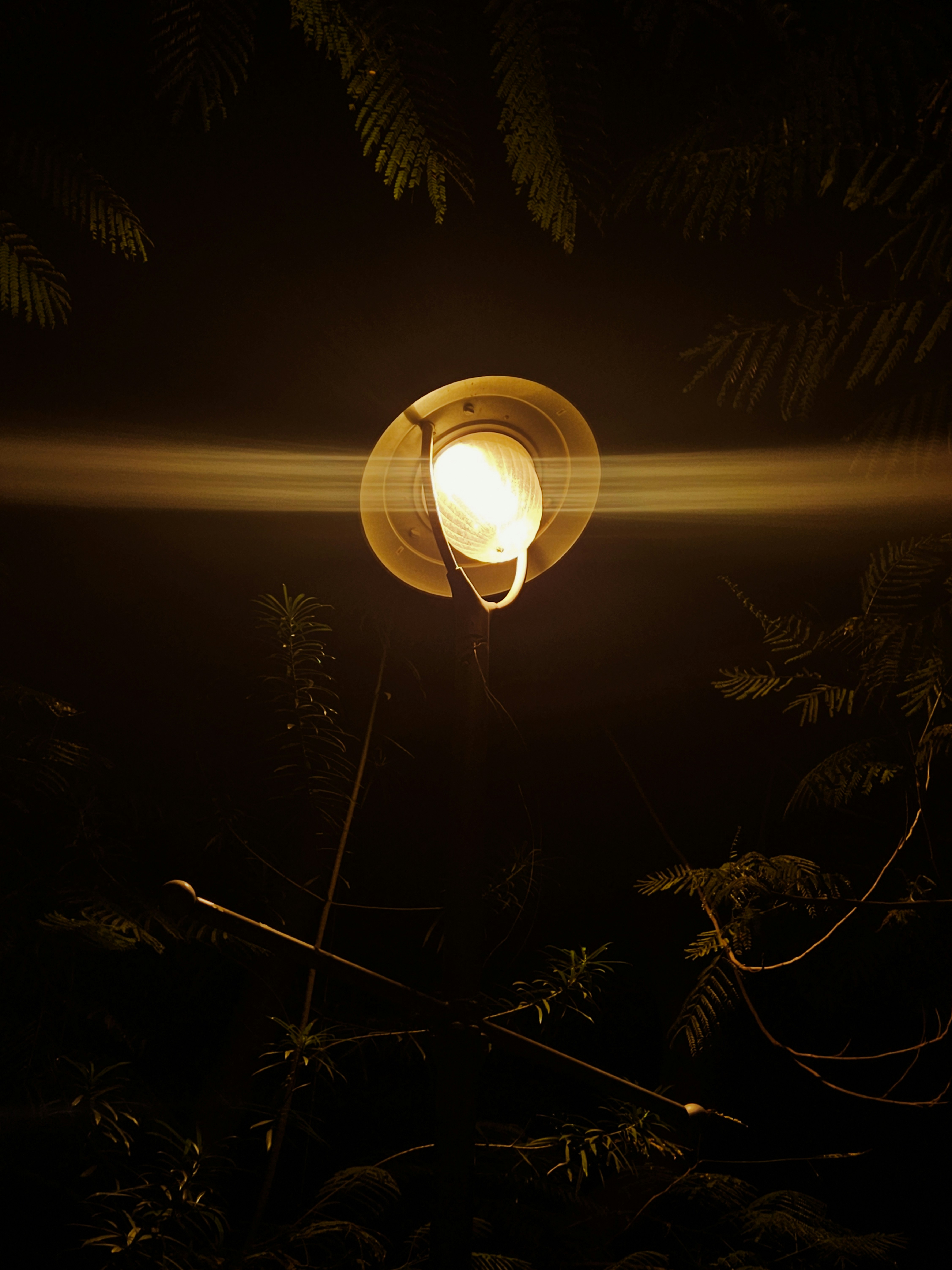 Glow on a Night Thread: A Lantern in Shadows