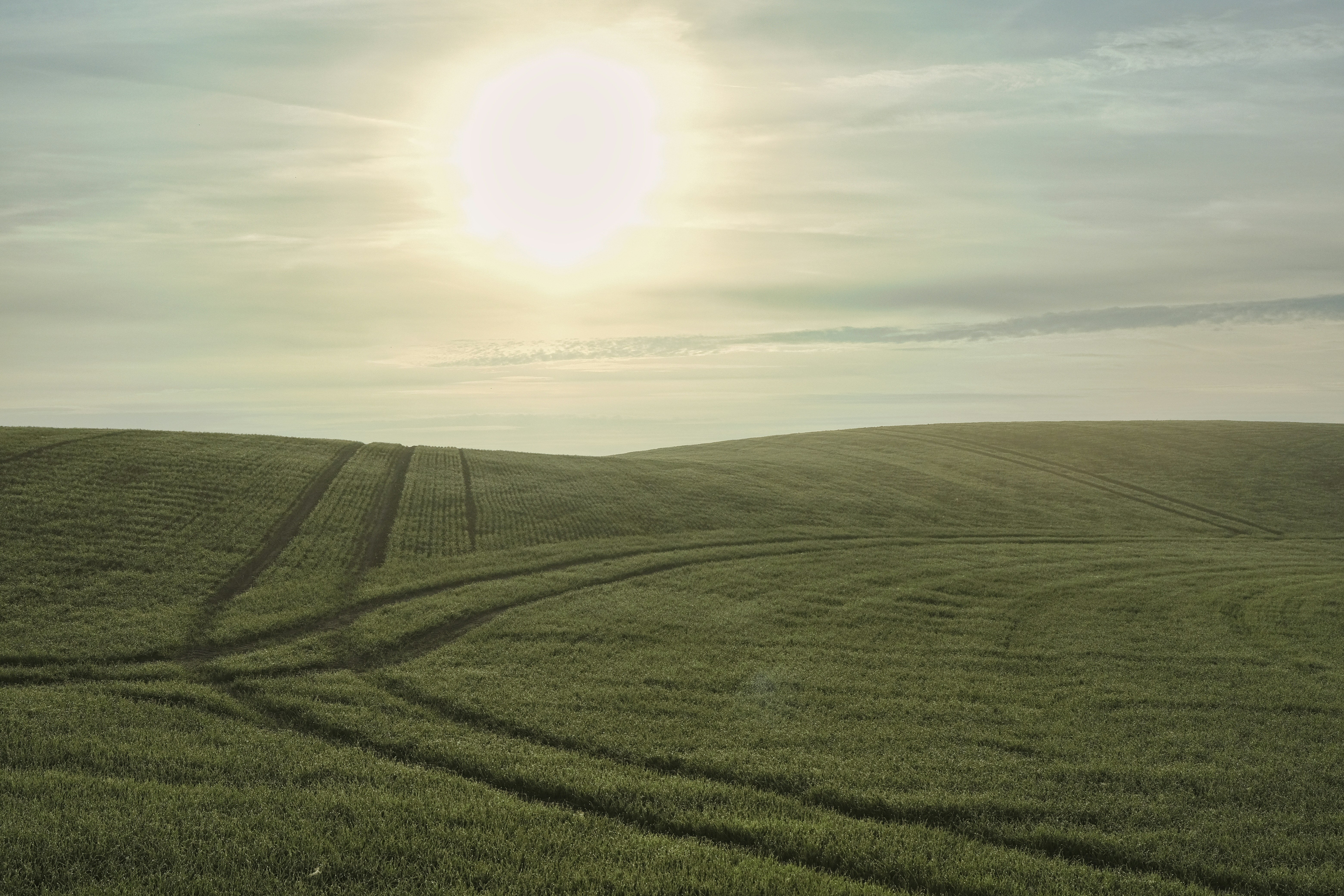 Soft, rolling fields with tire tracks curving toward a glowing sun; the image captures a tranquil landscape scene with subtle color and texture. This is a photographic representation of farmland at either dawn or dusk.