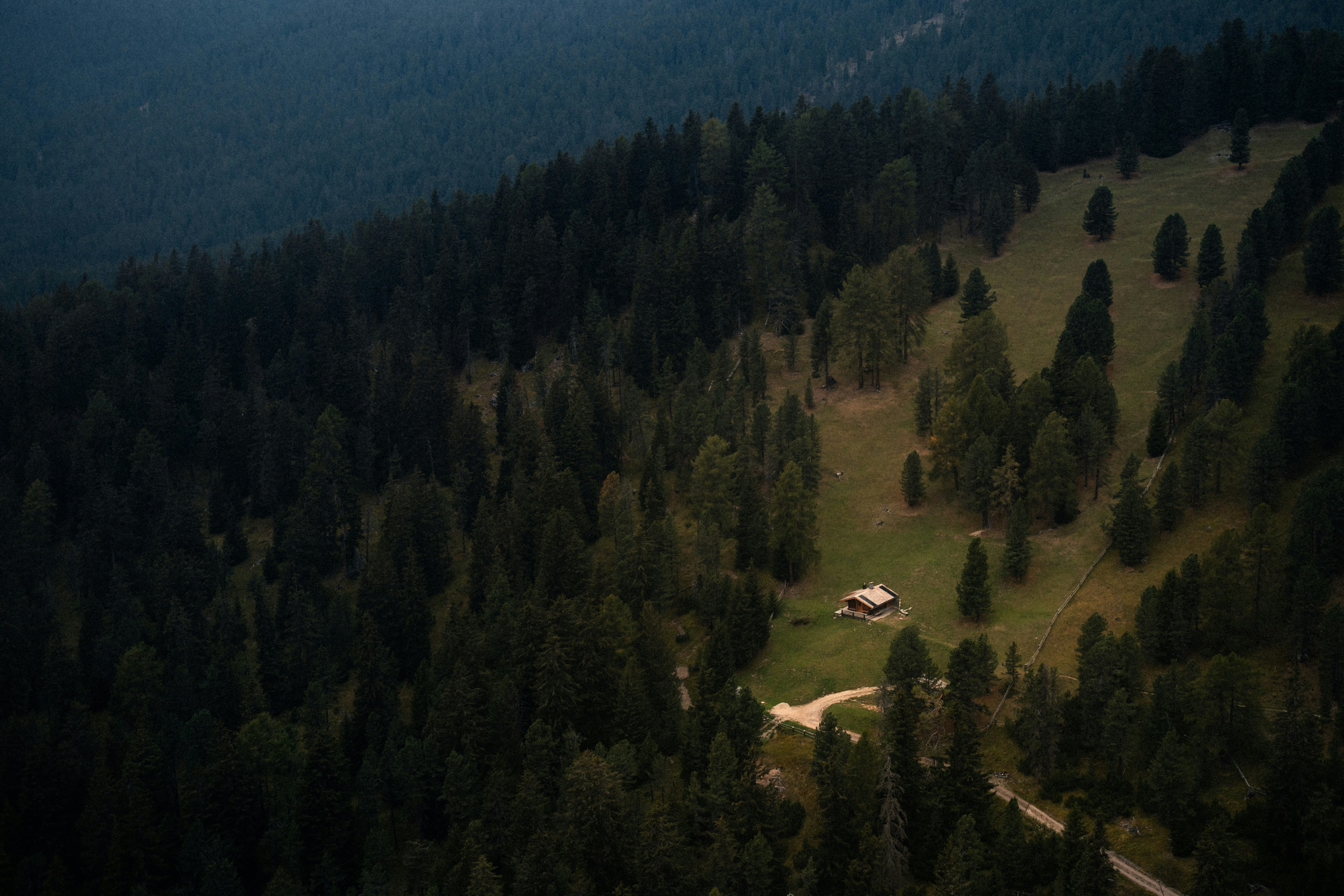 Secluded Cabin Amid Pines: A Quiet Ridge Reach