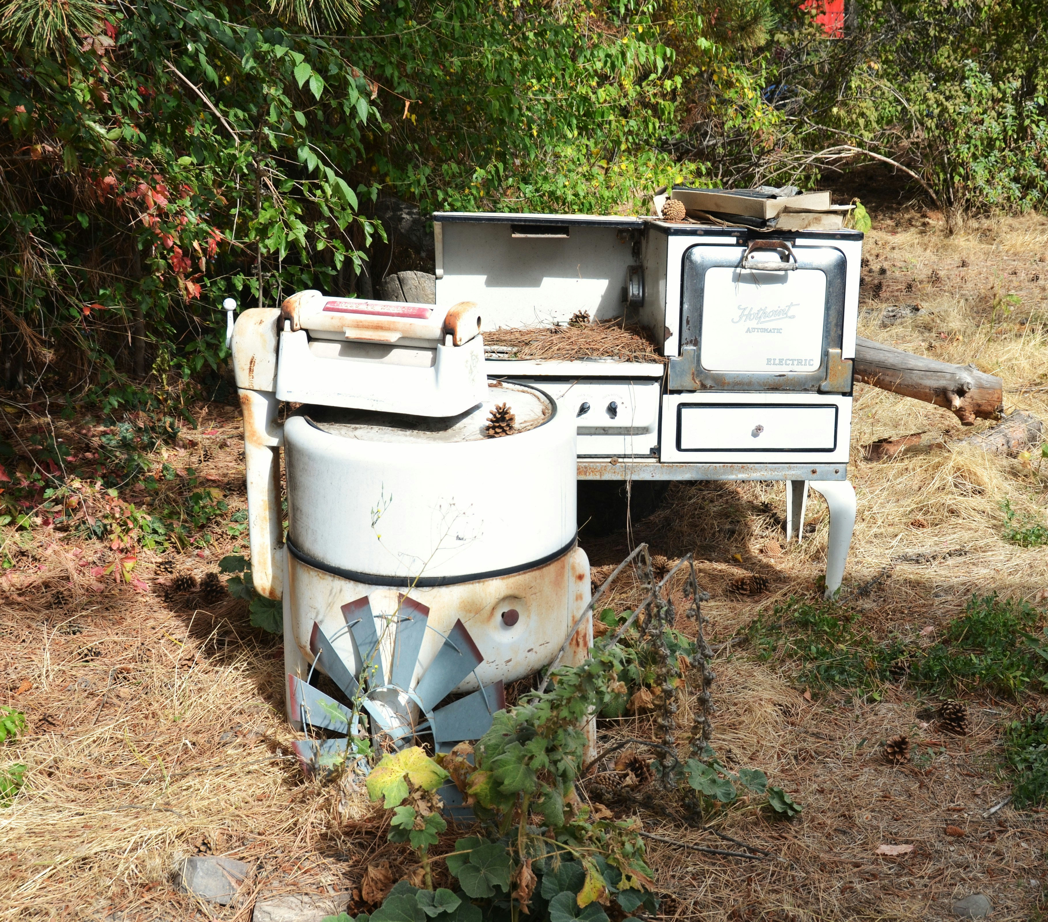 Abandoned Outdoors: Weathered Stove and Grill Remnants in Dry Clearing
