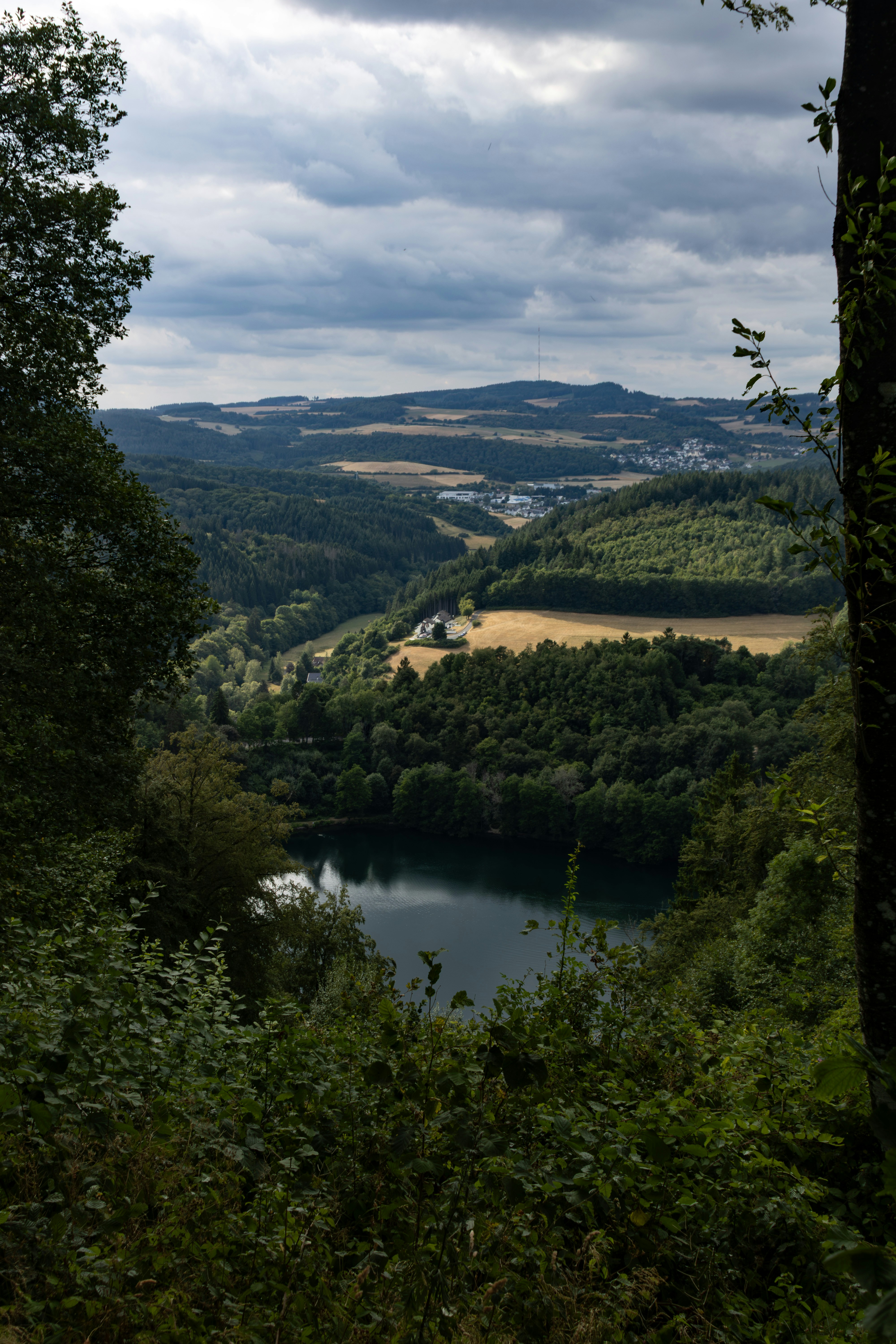 Valley Mist: A Verdant Curtain Framing a Hidden Reservoir