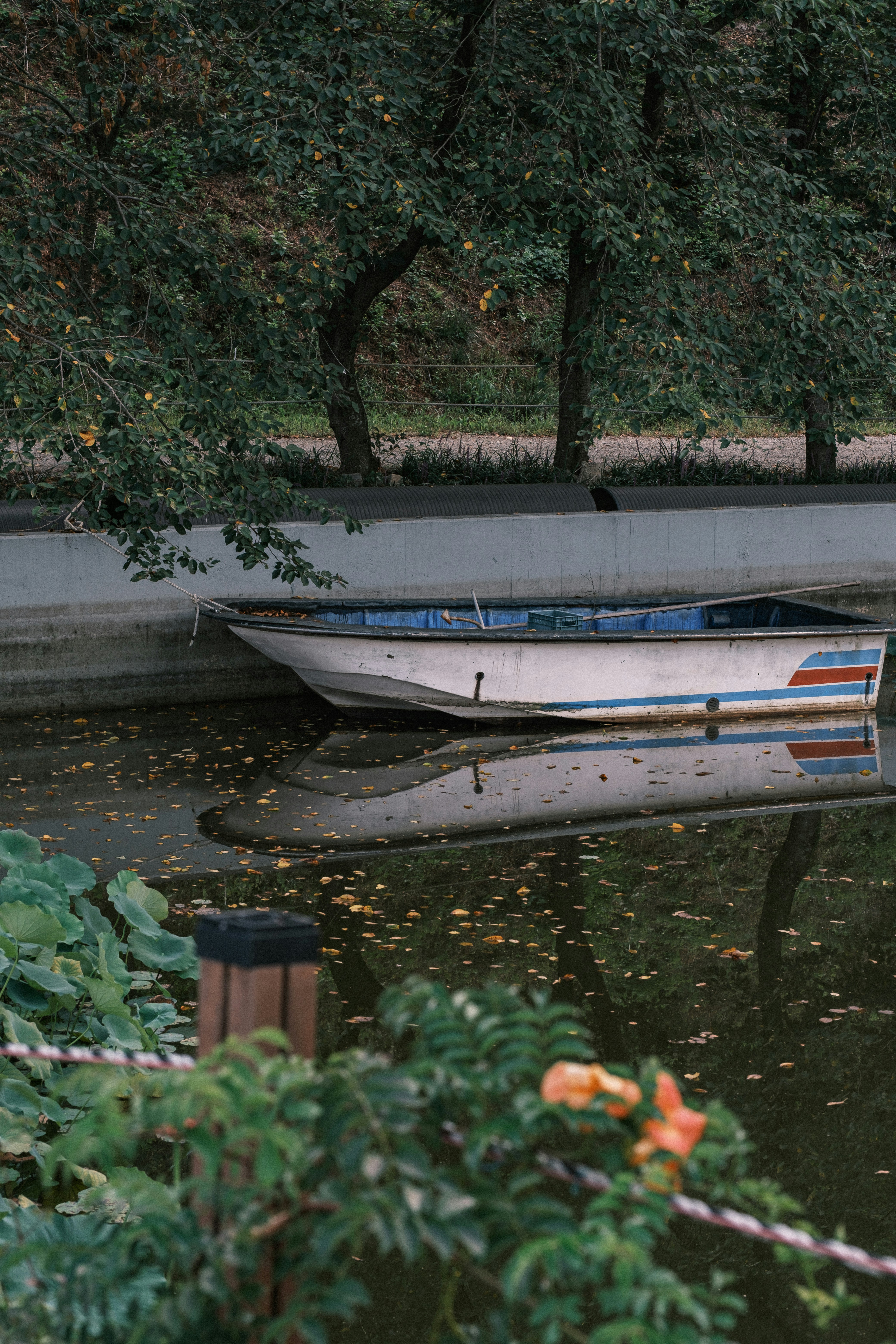 A small boat tied to a canal edge sits mirrored in still water, with overhanging trees and fallen leaves framing the scene.