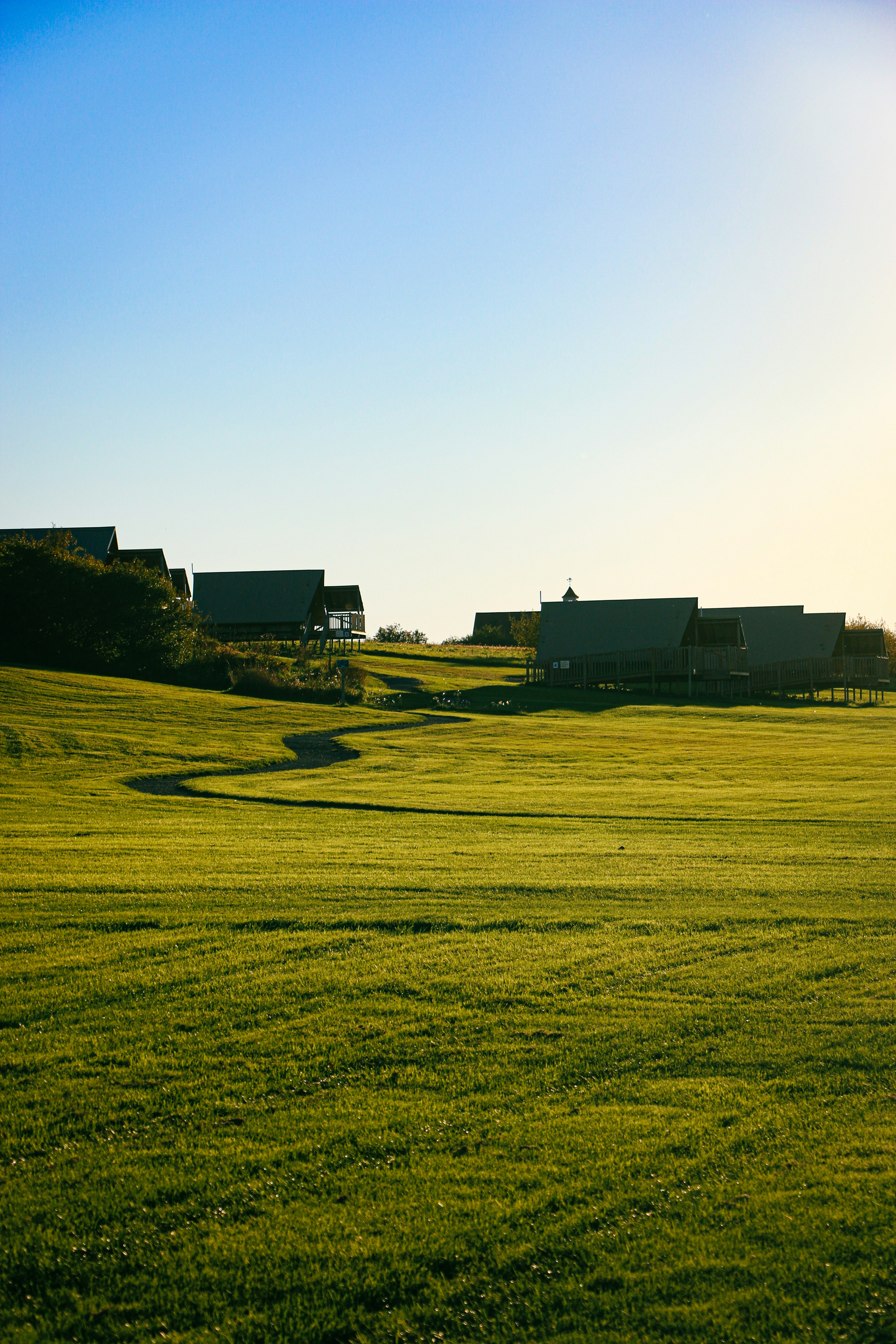 Sunlit Village on a Rolling Green Field