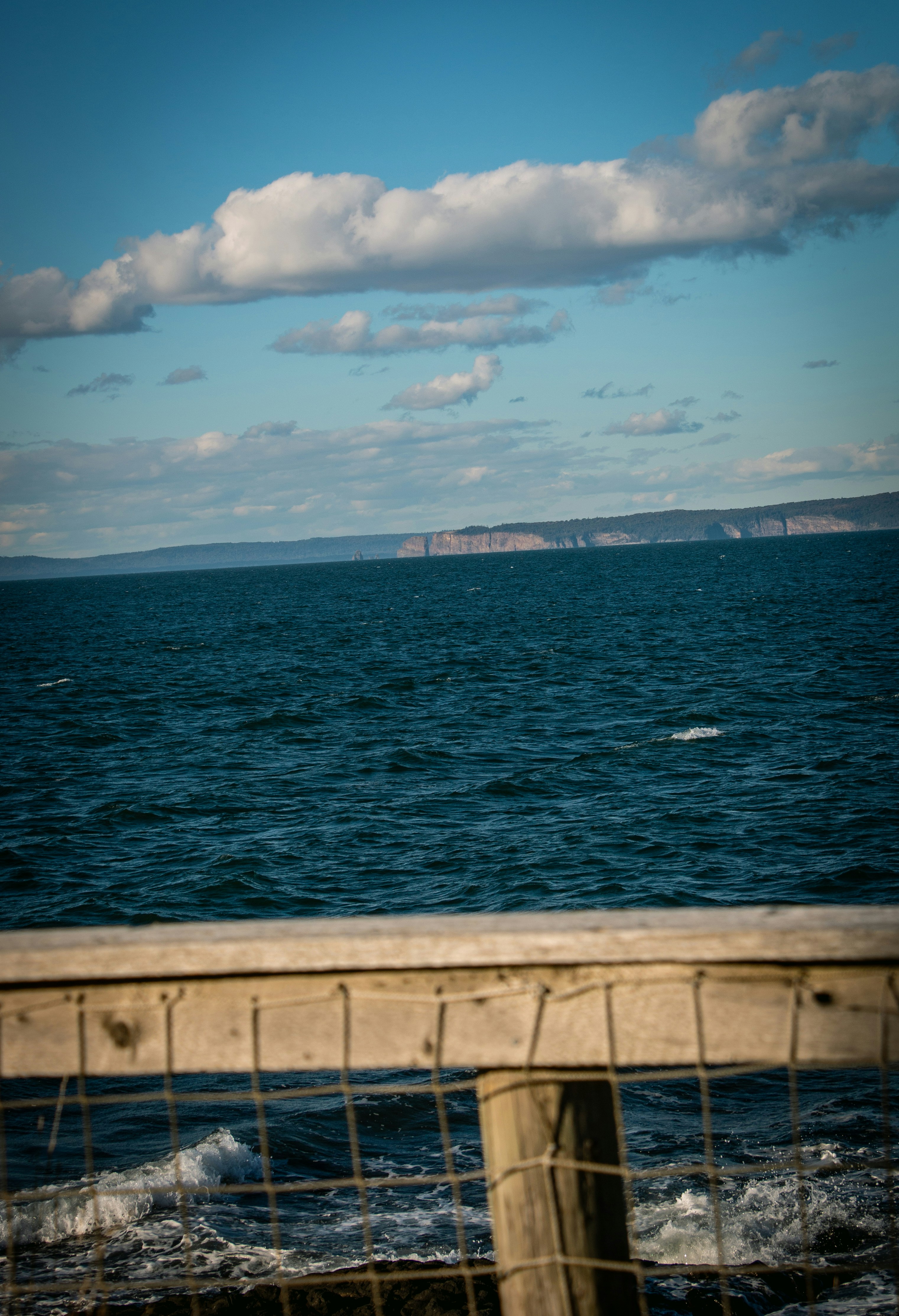 Horizon Gulls over a Weathered Pier